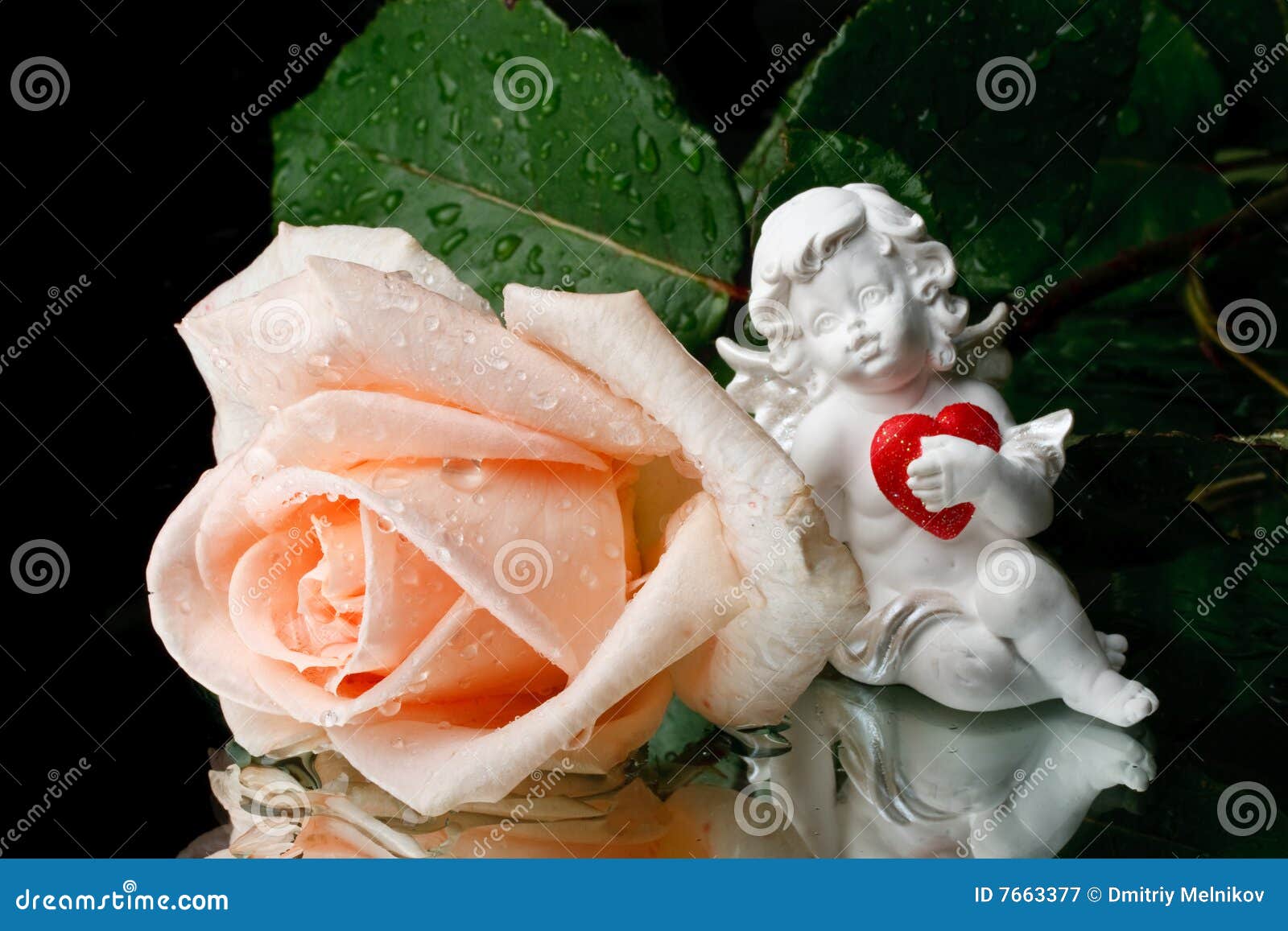 Rose and cupid. stock image. Image of valentine, dating - 7663377