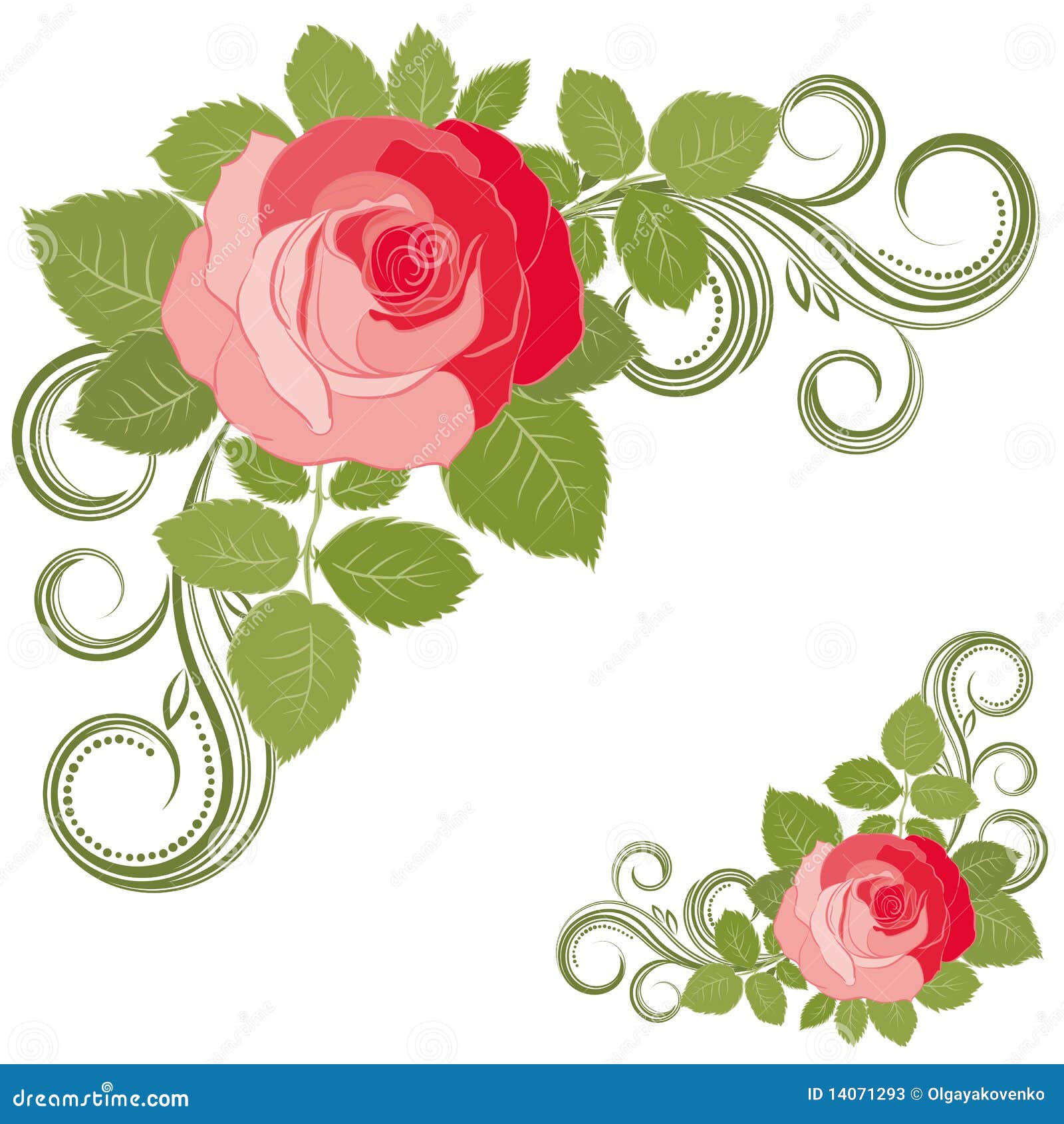 Rose and curls. stock vector. Illustration of card, dating - 14071293