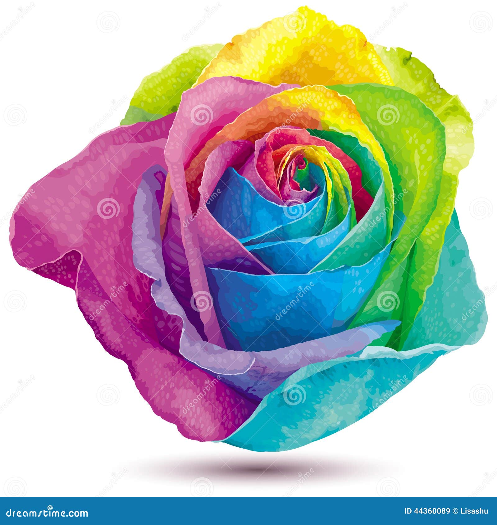 Rose De Couleur D'arc-en-ciel Illustration de Vecteur - Illustration du ...