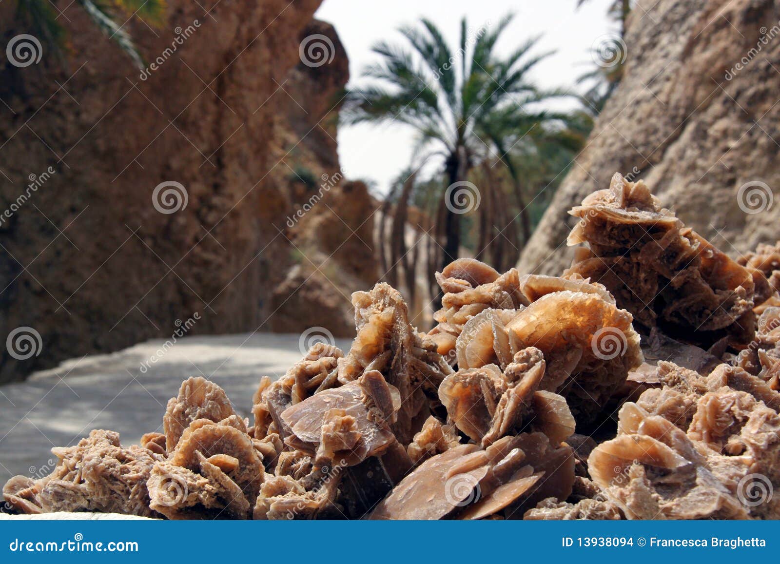 Rose of the Desert stock photo. Image of gypsum, rock - 13938094