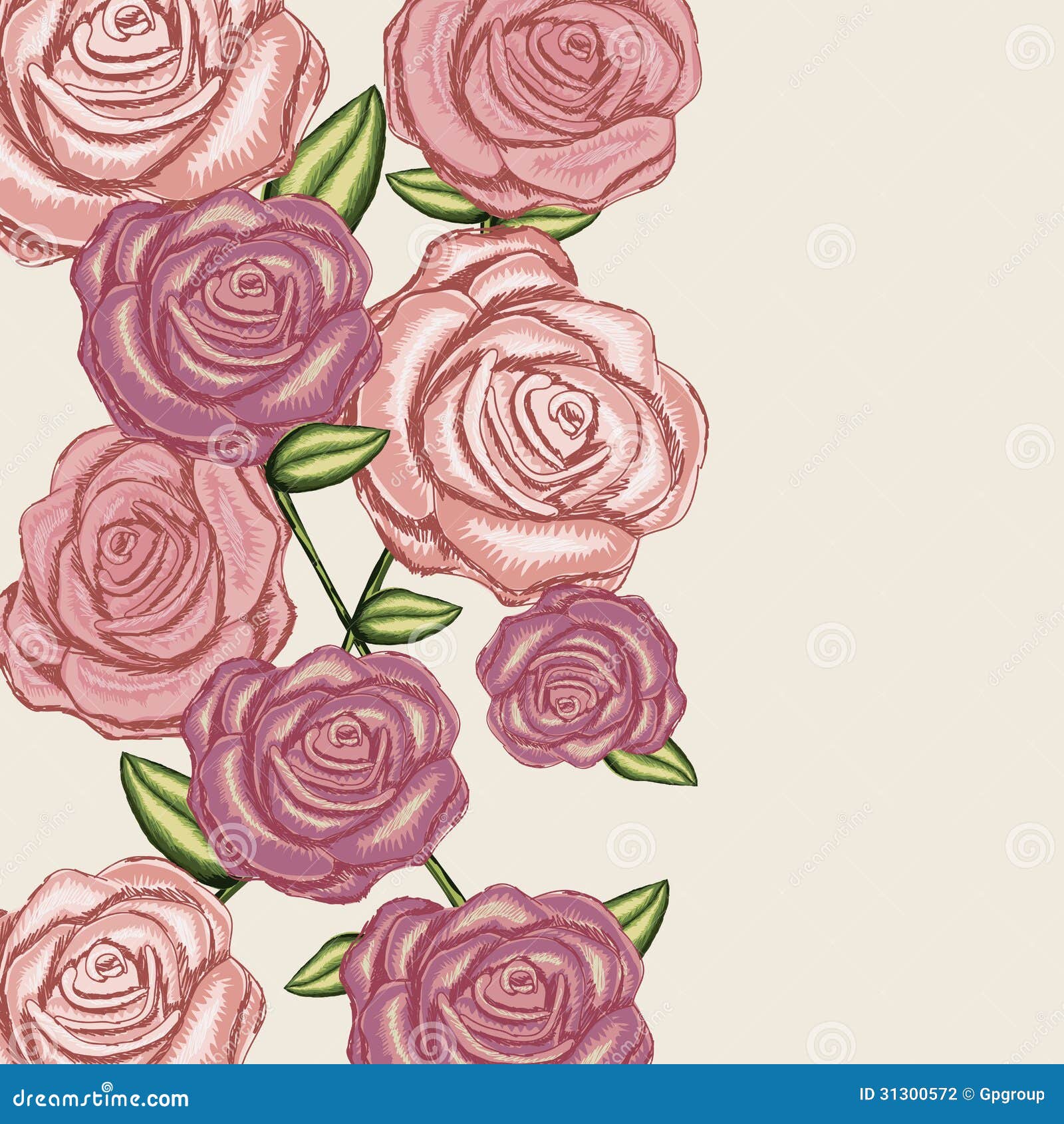 Rose stock vector. Illustration of blossom, gift, graphic - 31300572