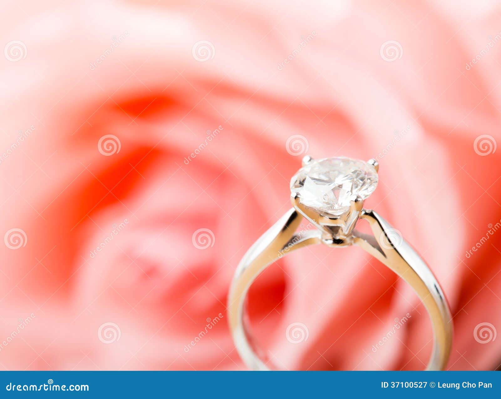 Rose and diamond ring stock image. Image of nature, beautiful - 37100527