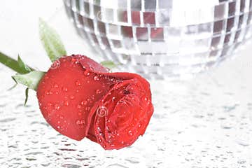 Rose and disco ball stock image. Image of love, passion - 7905007