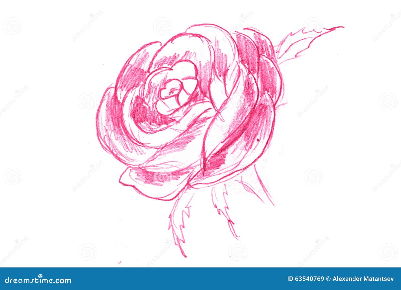 Rose doodle stock illustration. Illustration of painting - 63540769