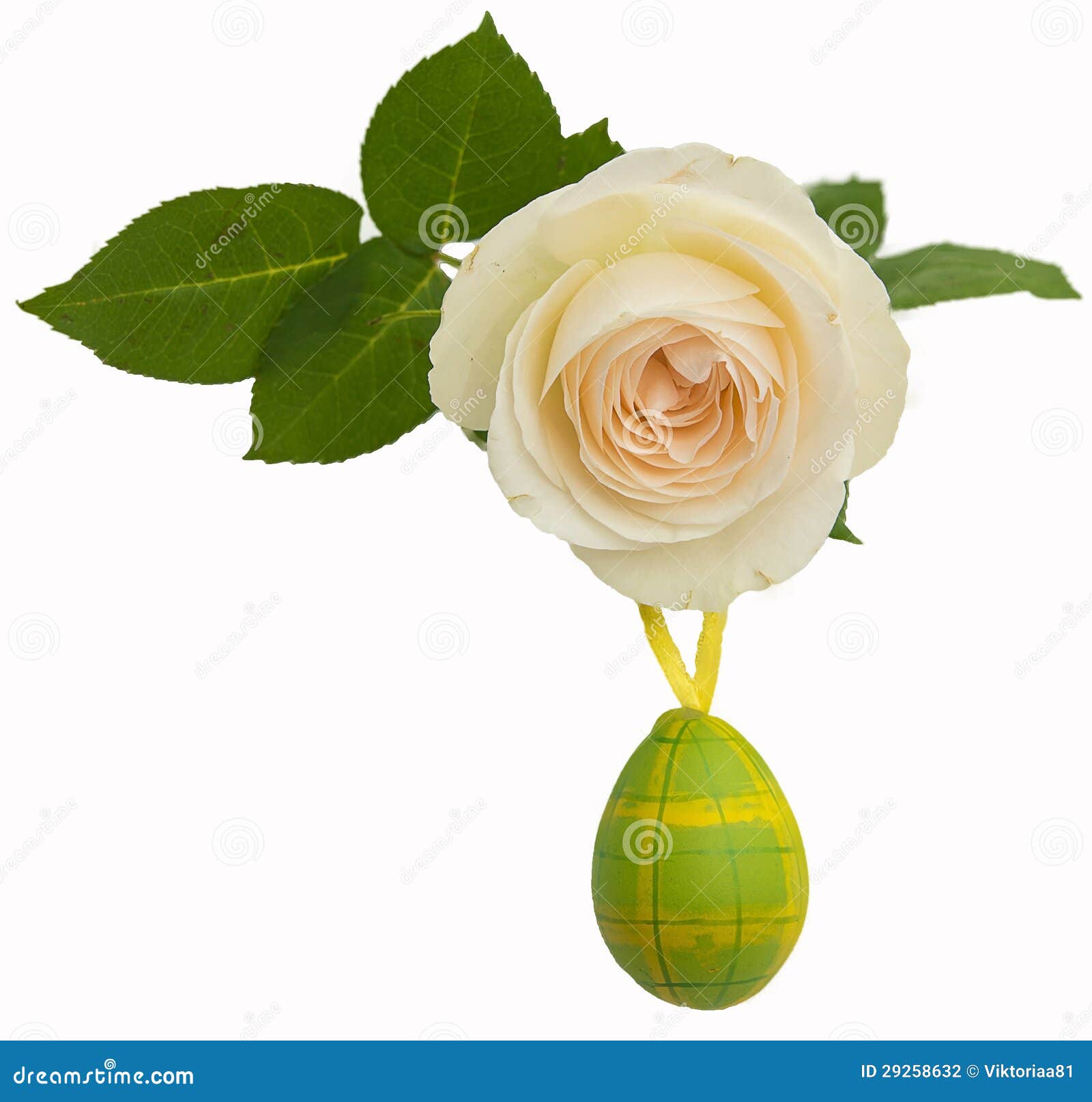 Rose with Easter Egg stock photo. Image of traditional - 29258632