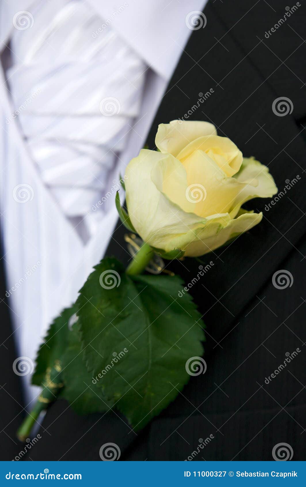 Rose en novio imagen de archivo. Imagen de floral, arreglo - 11000327