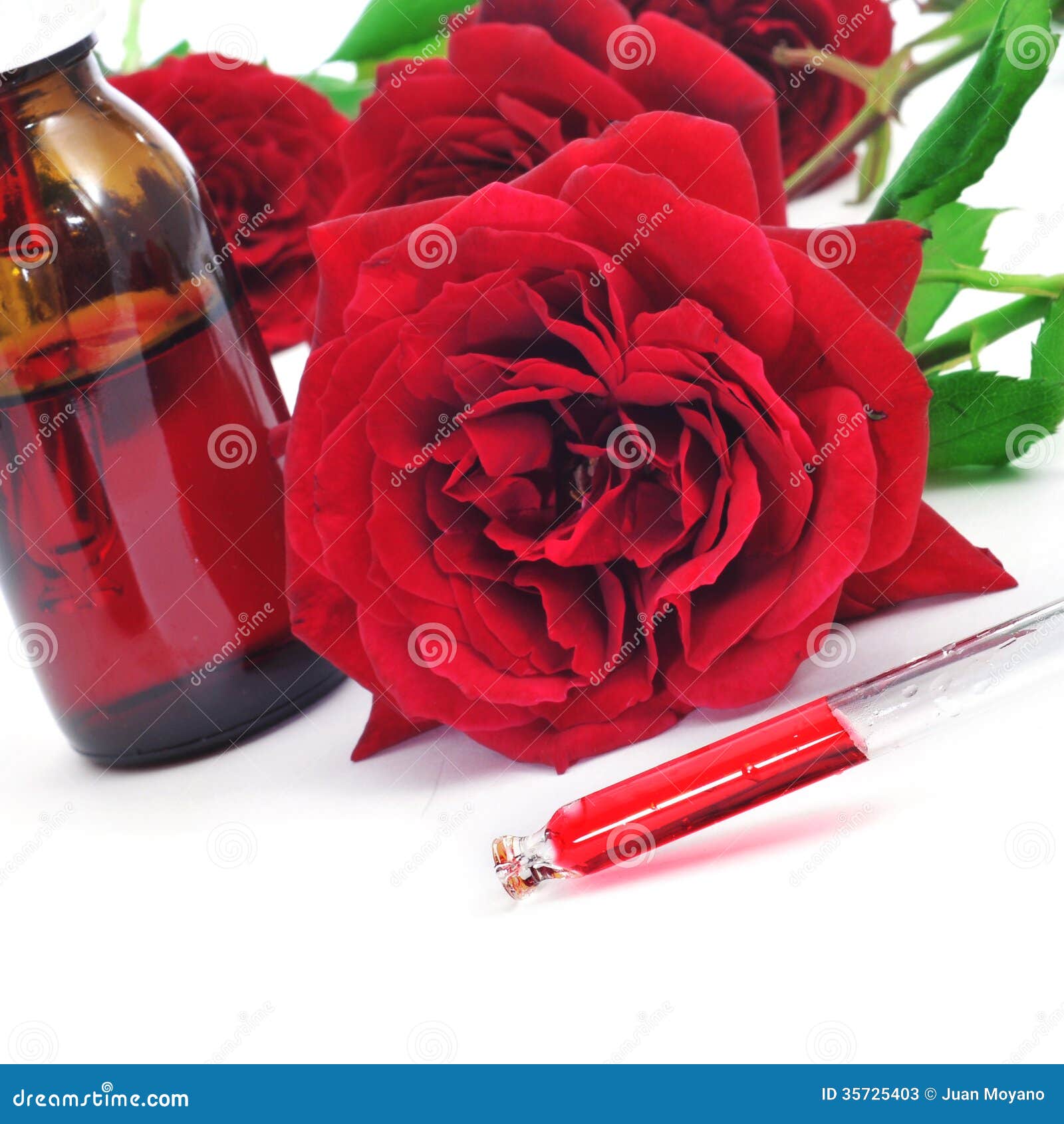 Rose essence stock image. Image of dropper, aroma, glass - 35725403