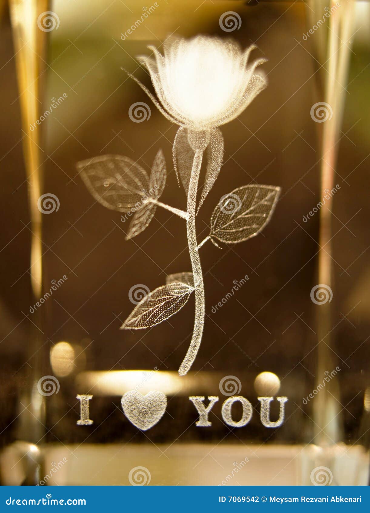 Rose etched in glass stock photo. Image of rose, abstract - 7069542