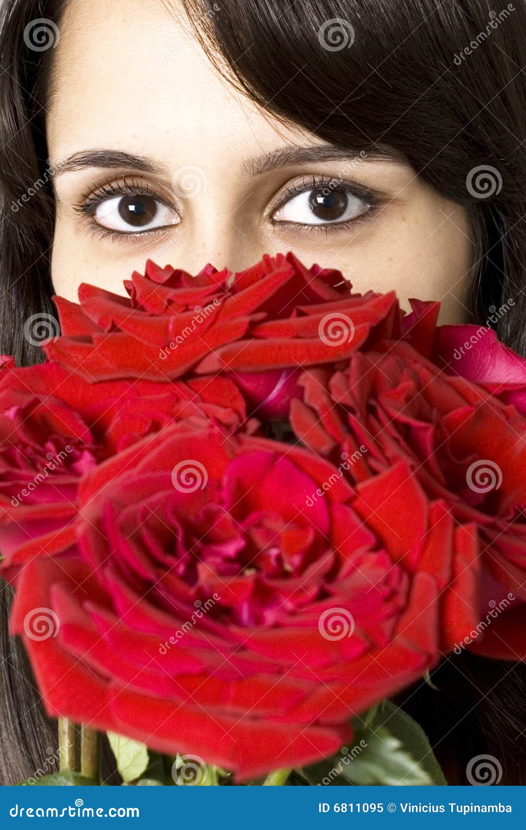 Rose Eyes stock image. Image of nature, closeup, romantic - 6811095
