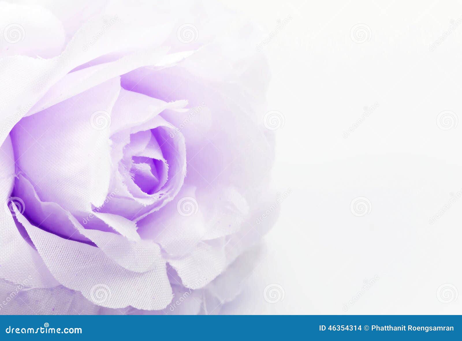 Rose Fake Flower on White Background, Soft Focus Stock Photo - Image of ...