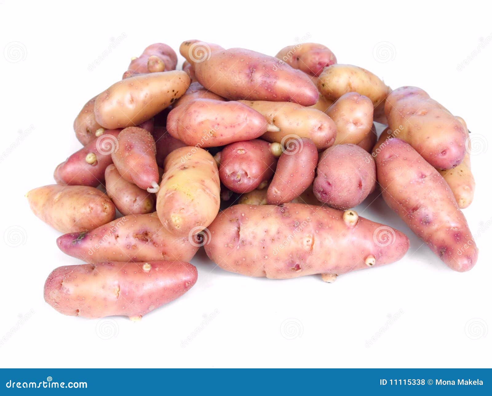 Rose fingerling potatoes stock photo. Image of pink, potato - 11115338