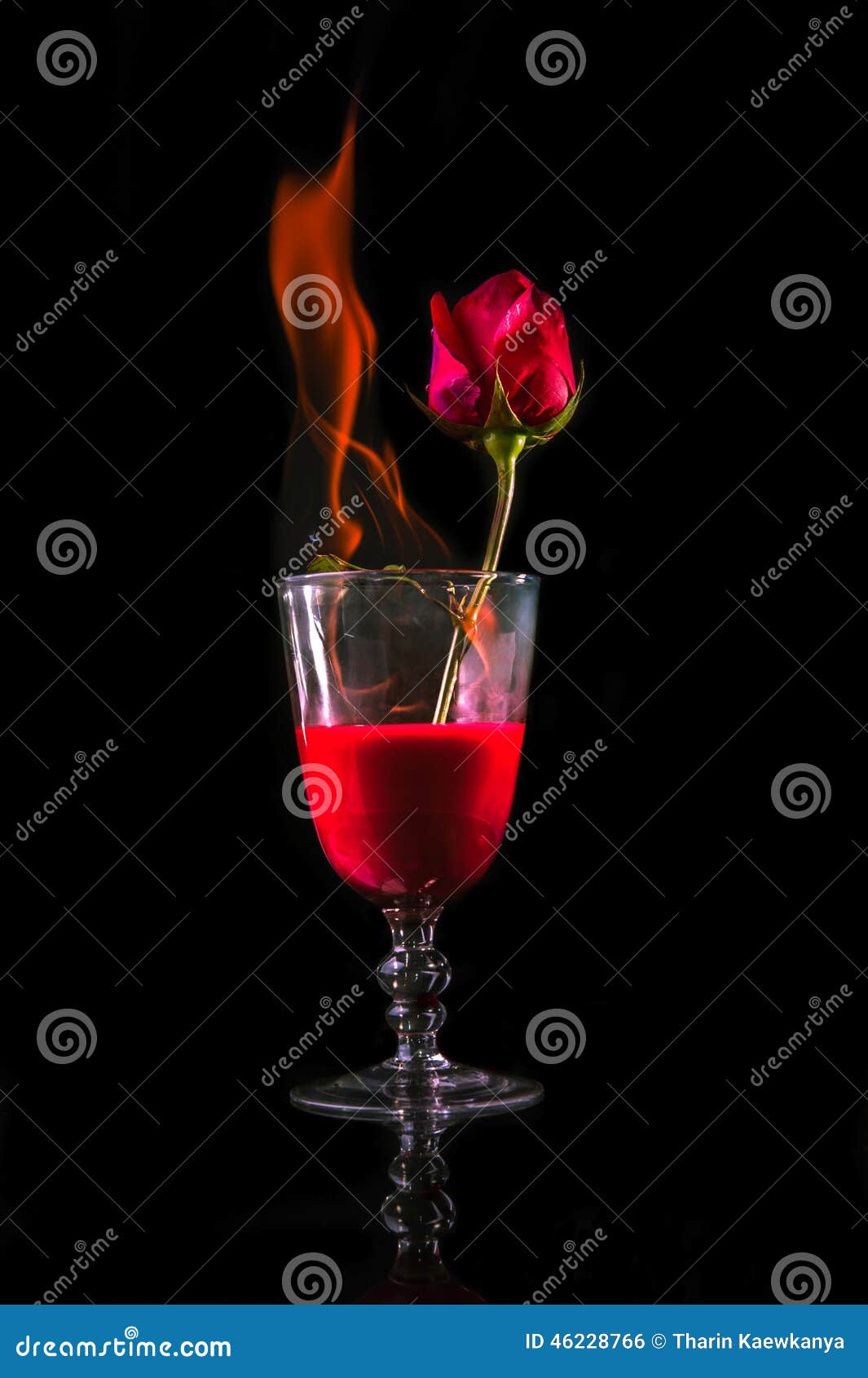 Red Rose On Fire With Black Background High Contrast Stock Photography ...