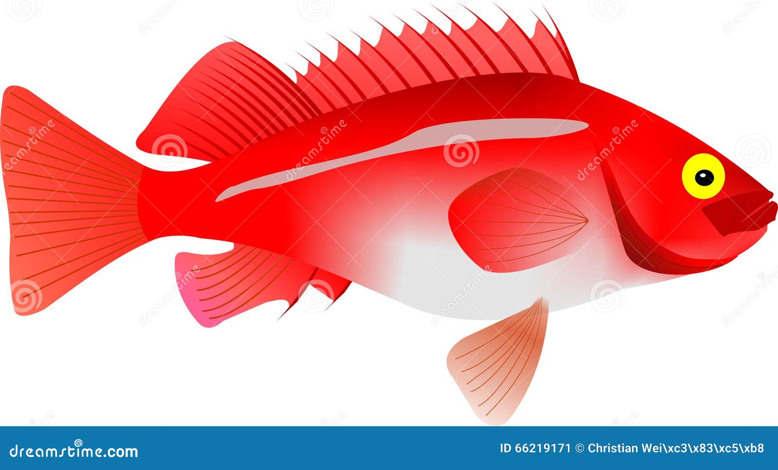 Rose Fish, Sebastes Norvegicus Icon Green Cartoon Vector ...
