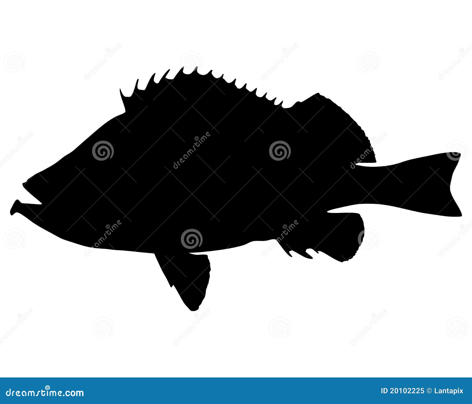 Rose fish Silhouette stock vector. Illustration of haddock - 20102225