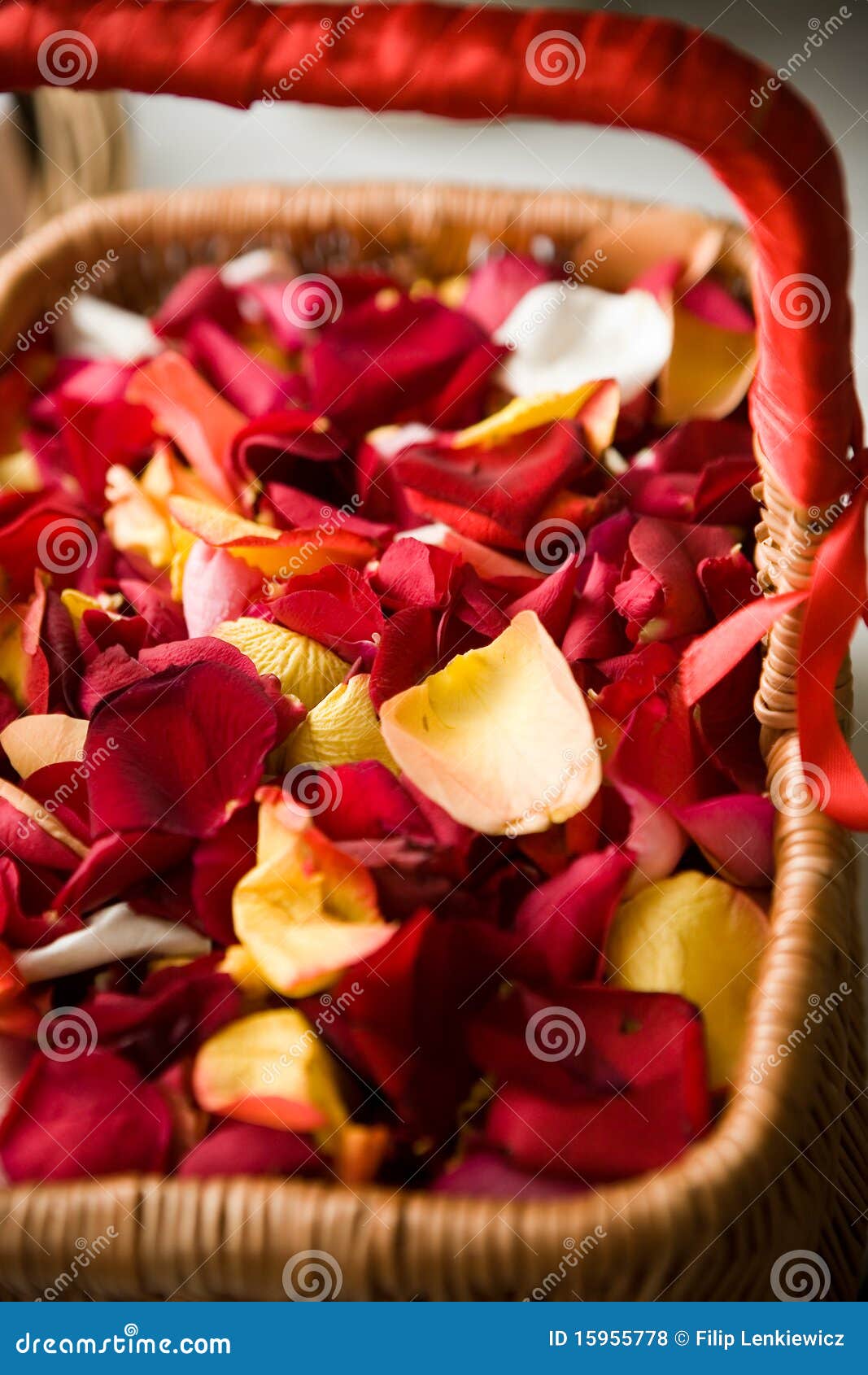 Rose flakes stock photo. Image of decoration, petals - 15955778