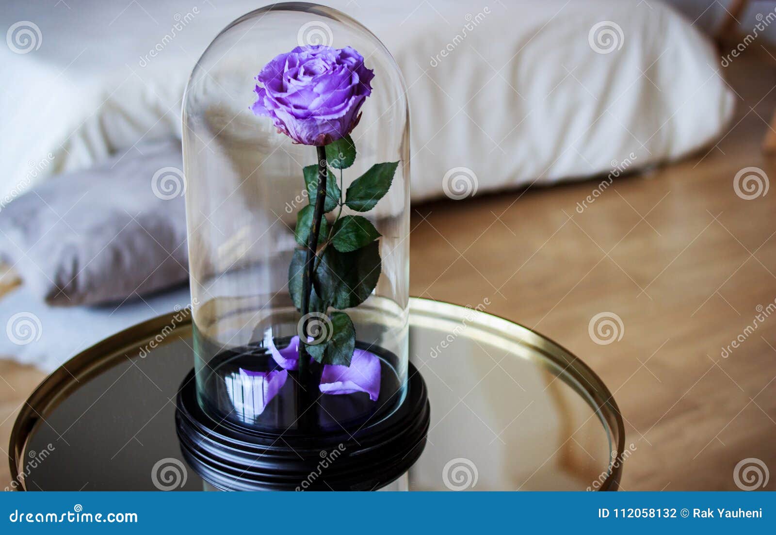 Rose in a Flask. Long-lasting Ros Stock Photo - Image of care ...