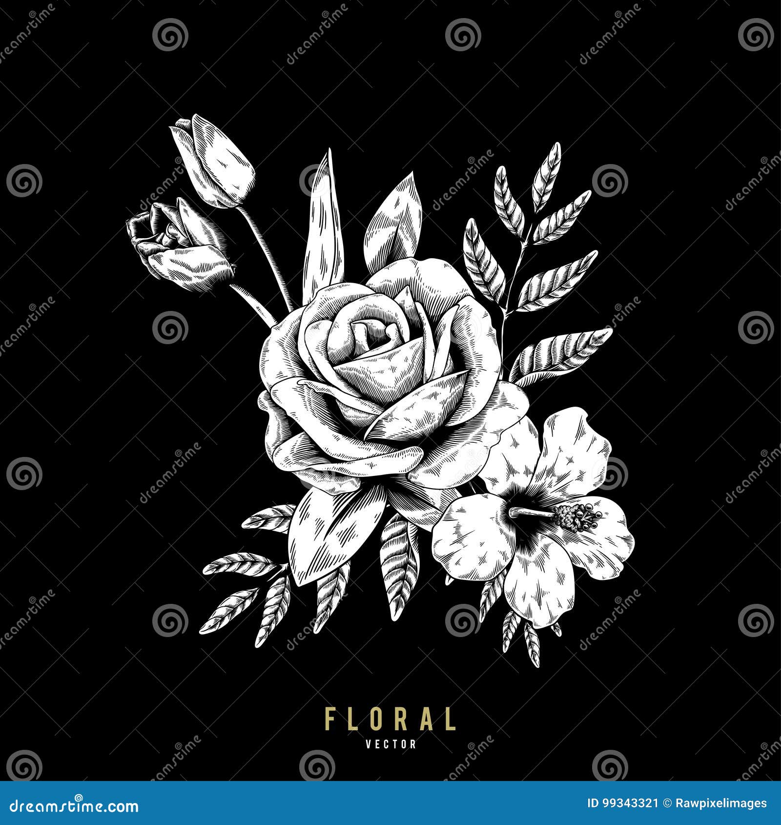 Rose Flora Ornament Drawing Vector Stock Vector - Illustration of ...