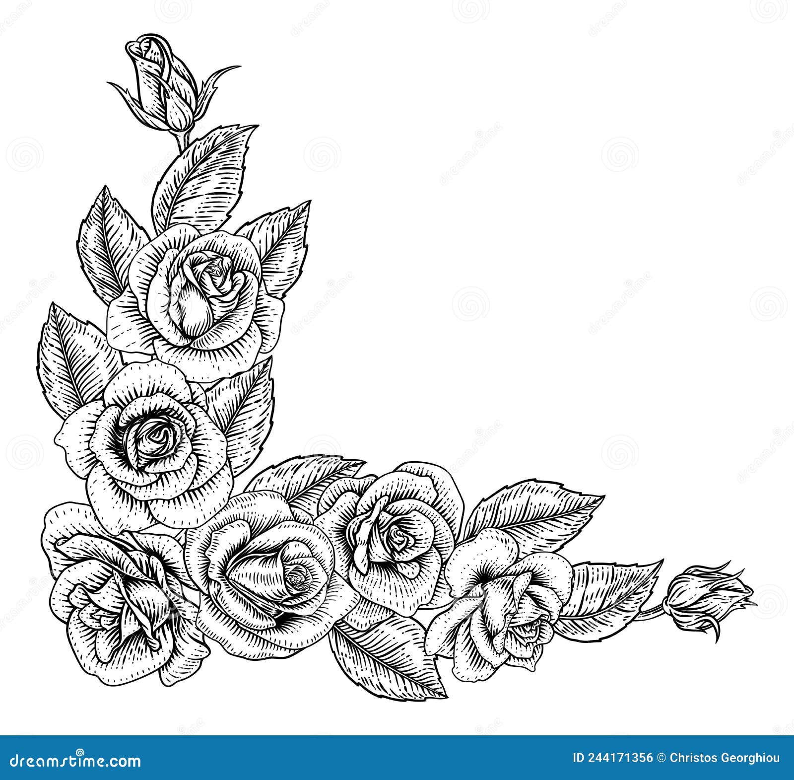 Rose Flower Border Woodcut Vintage Corner Frame Stock Vector ...