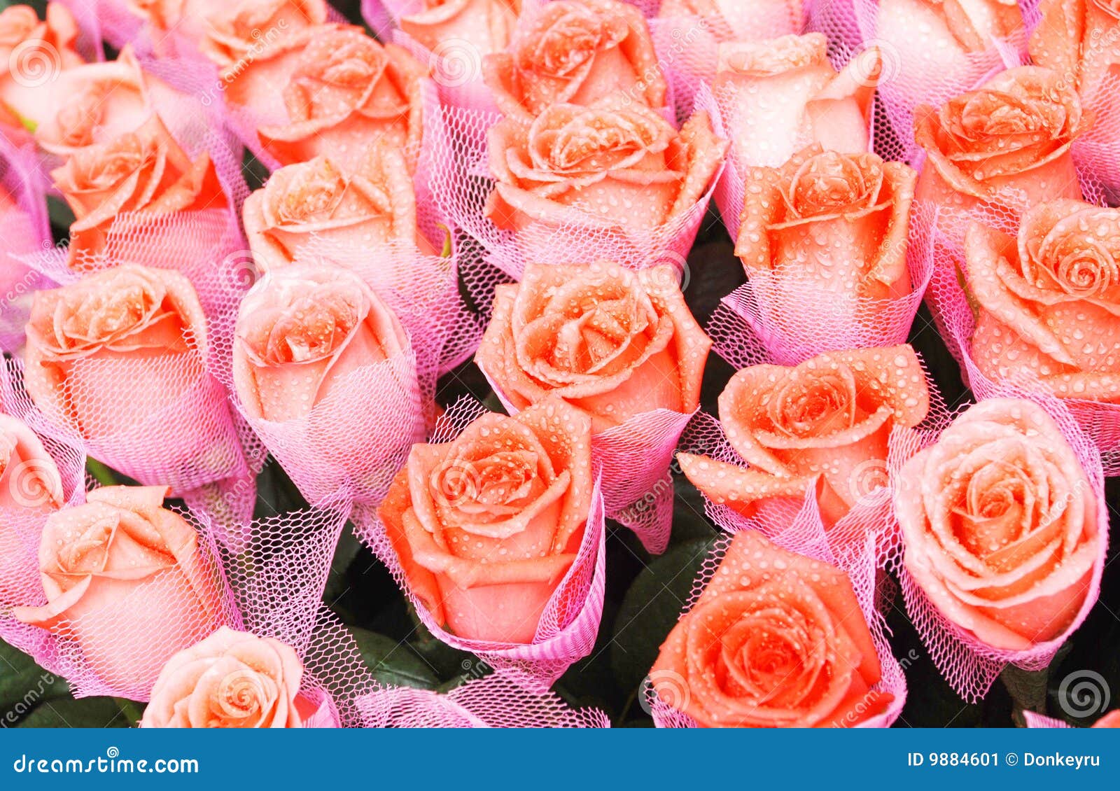 Rose flower bouquette stock image. Image of tranquility - 9884601