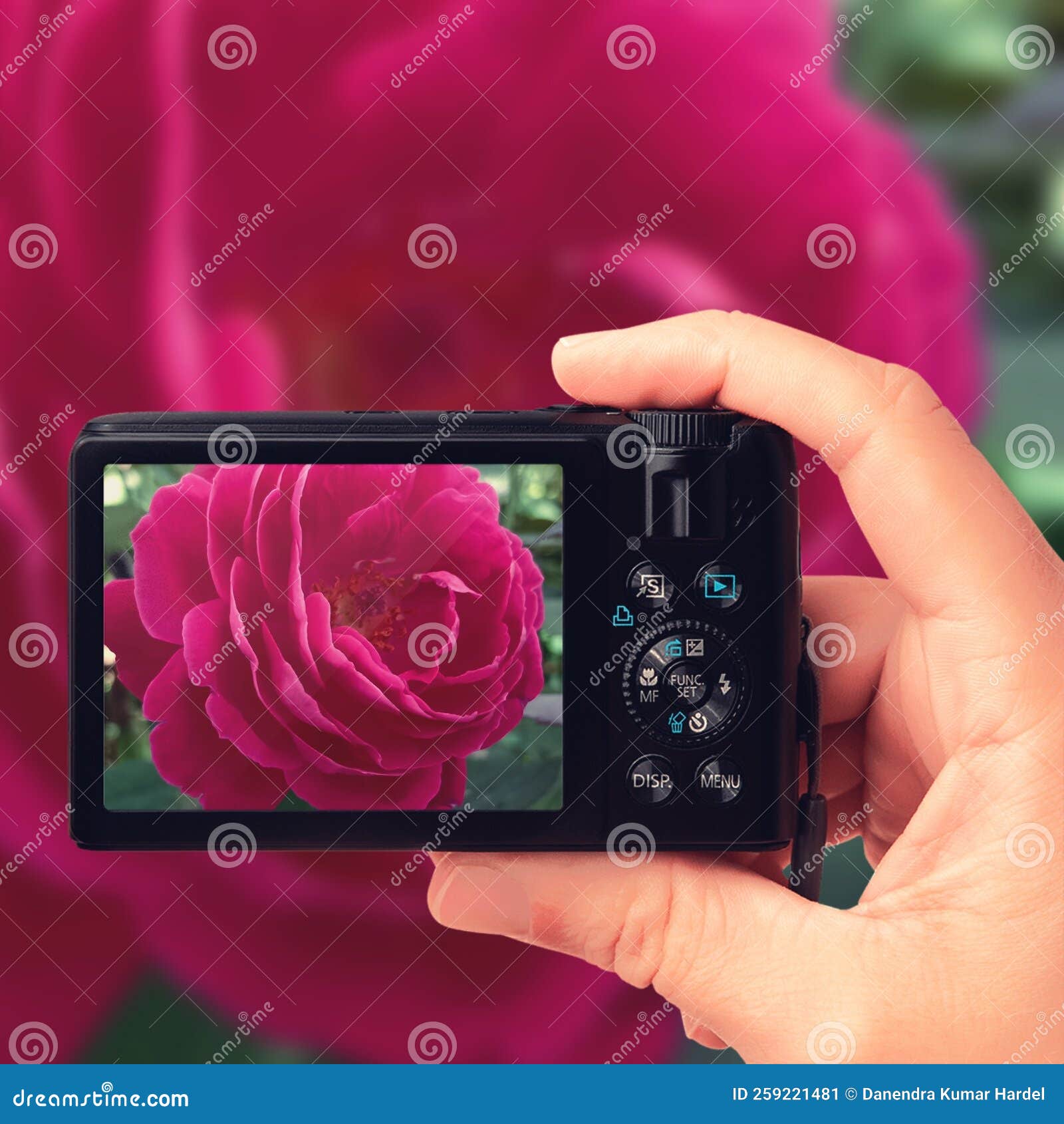 Camera captures flowers stock image. Image of smartphone - 259221481