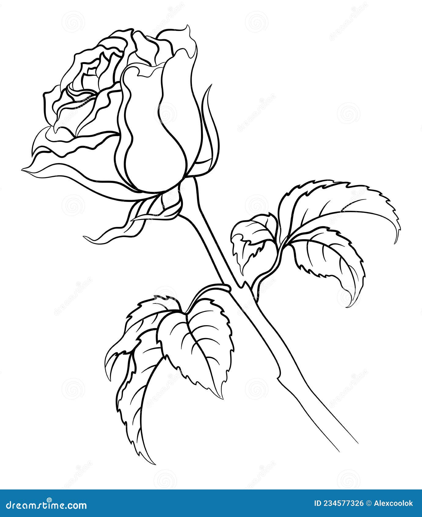 Rose Flower Contour stock vector. Illustration of holiday - 234577326