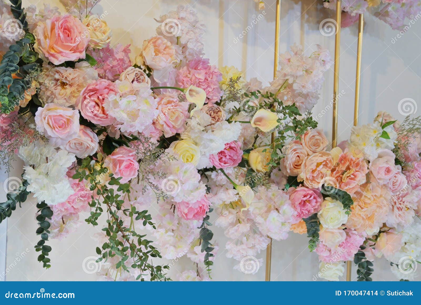 Rose Flower Decoration on Wedding Backdrop of Design Wall Stock Photo ...