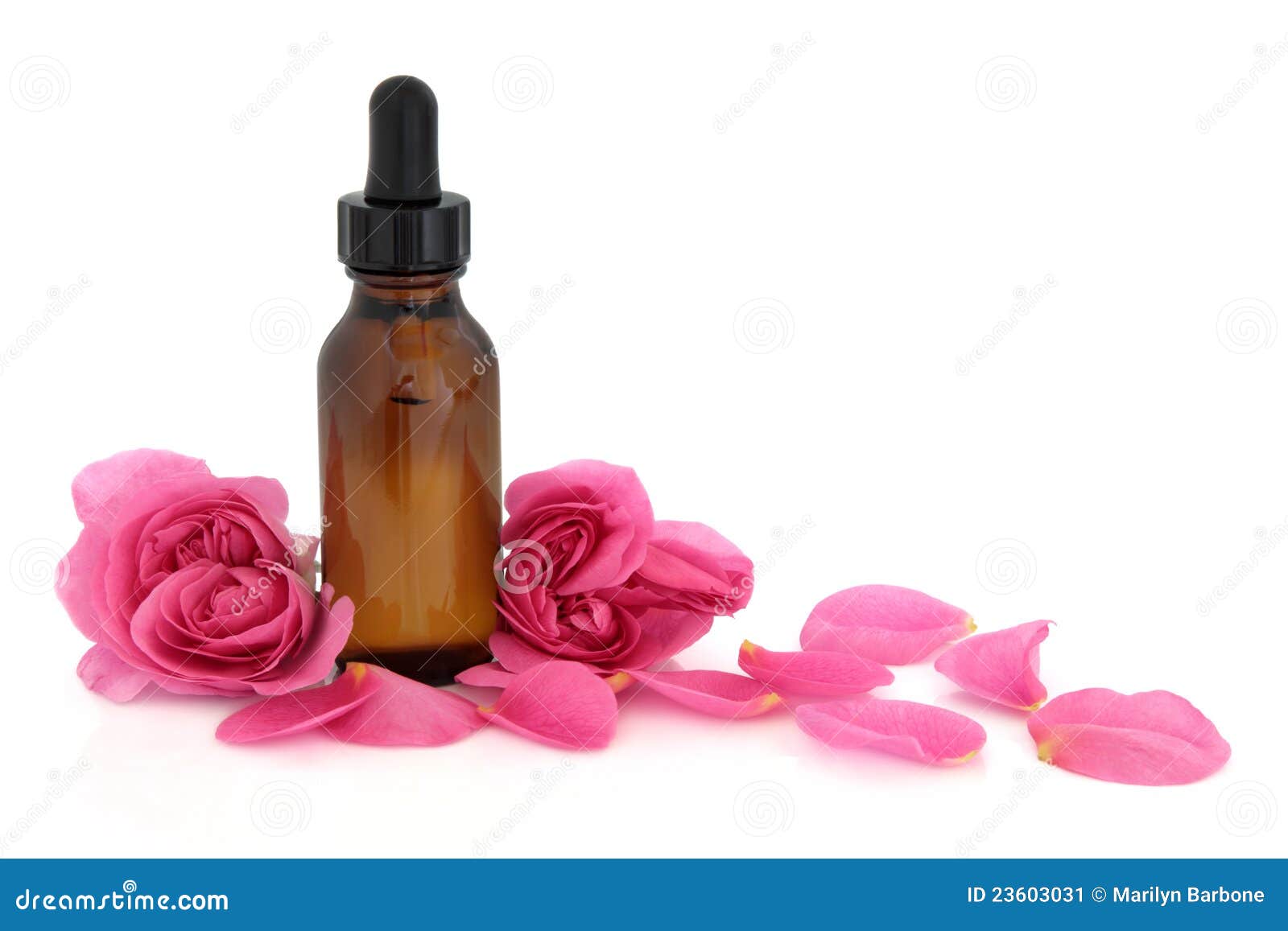 Rose Flower Essence stock image. Image of bottle, remedy - 23603031