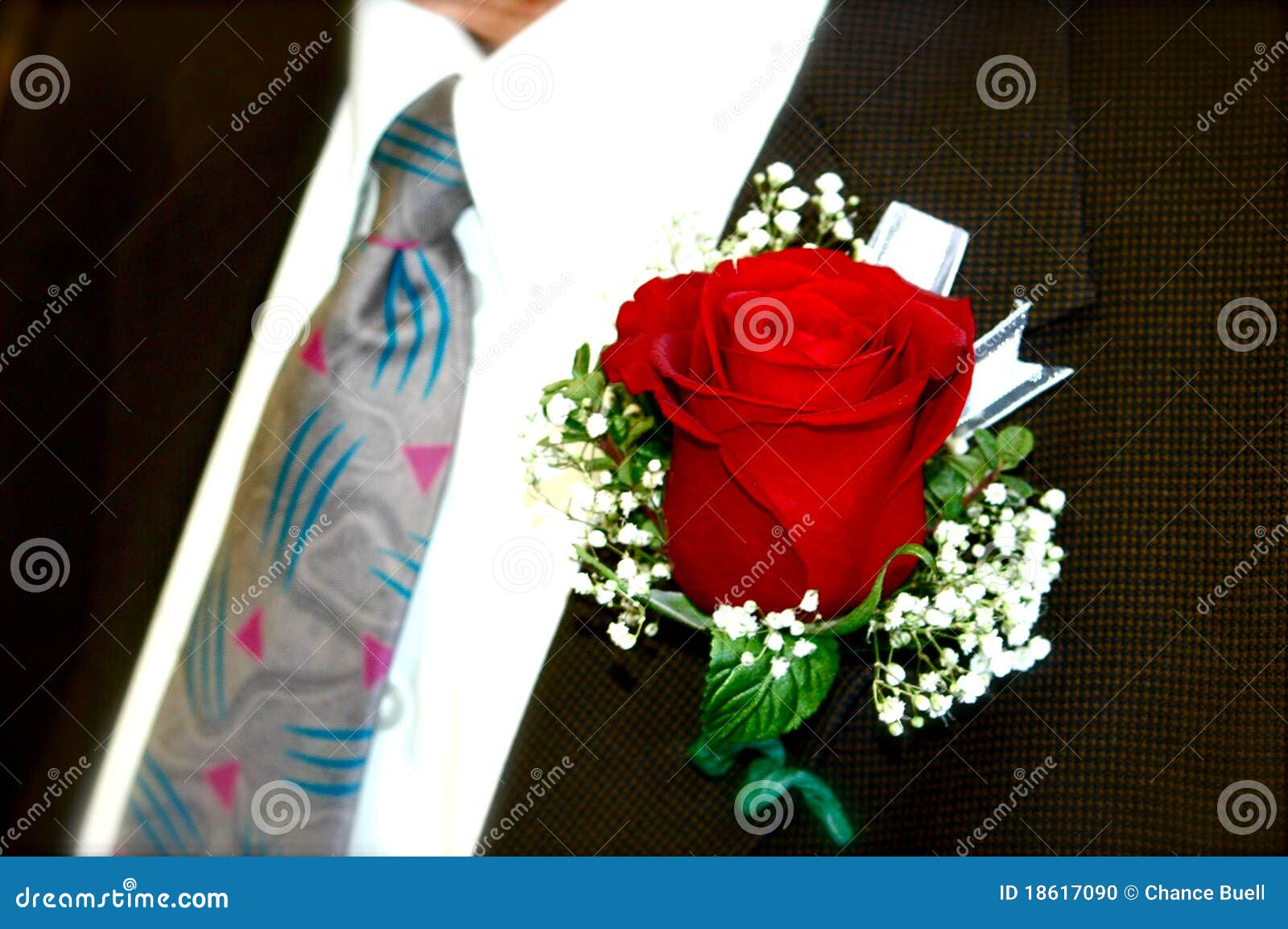 Groom Wearing a Red Rose Boutonniere Stock Photo - Image of coat, rose ...