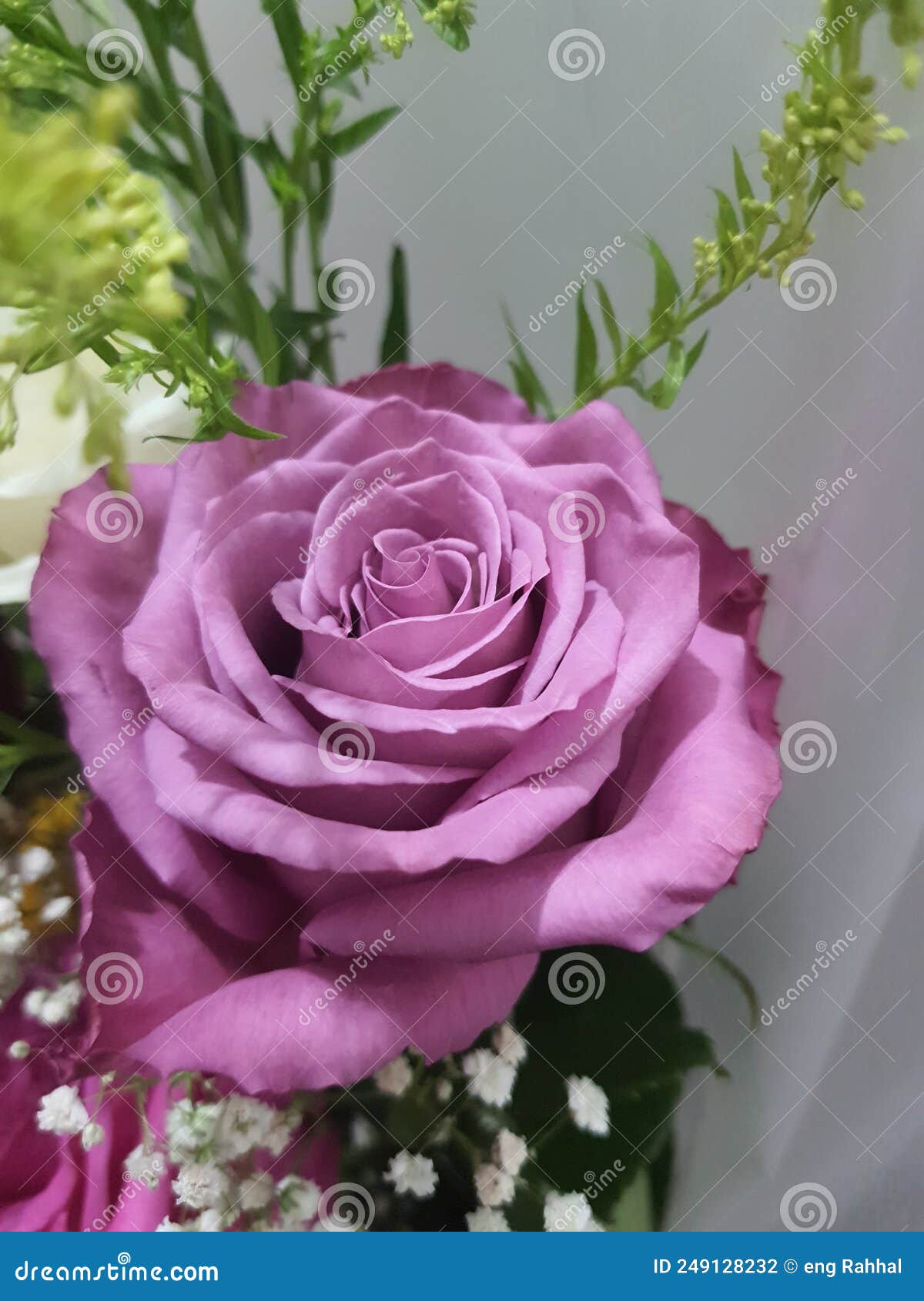 Flower Jouri Stock Photos - Free & Royalty-Free Stock Photos from ...