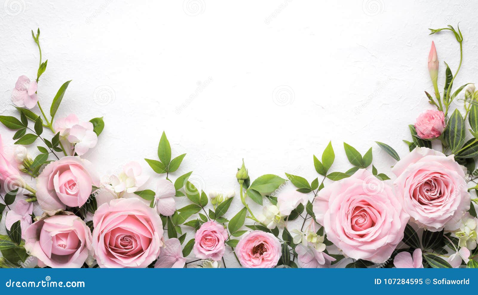Frame Of Red Rose Petals Royalty-Free Stock Photography | CartoonDealer ...