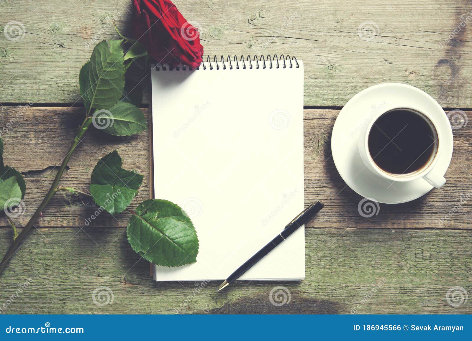 Rose flower and notepad stock photo. Image of background - 186945566