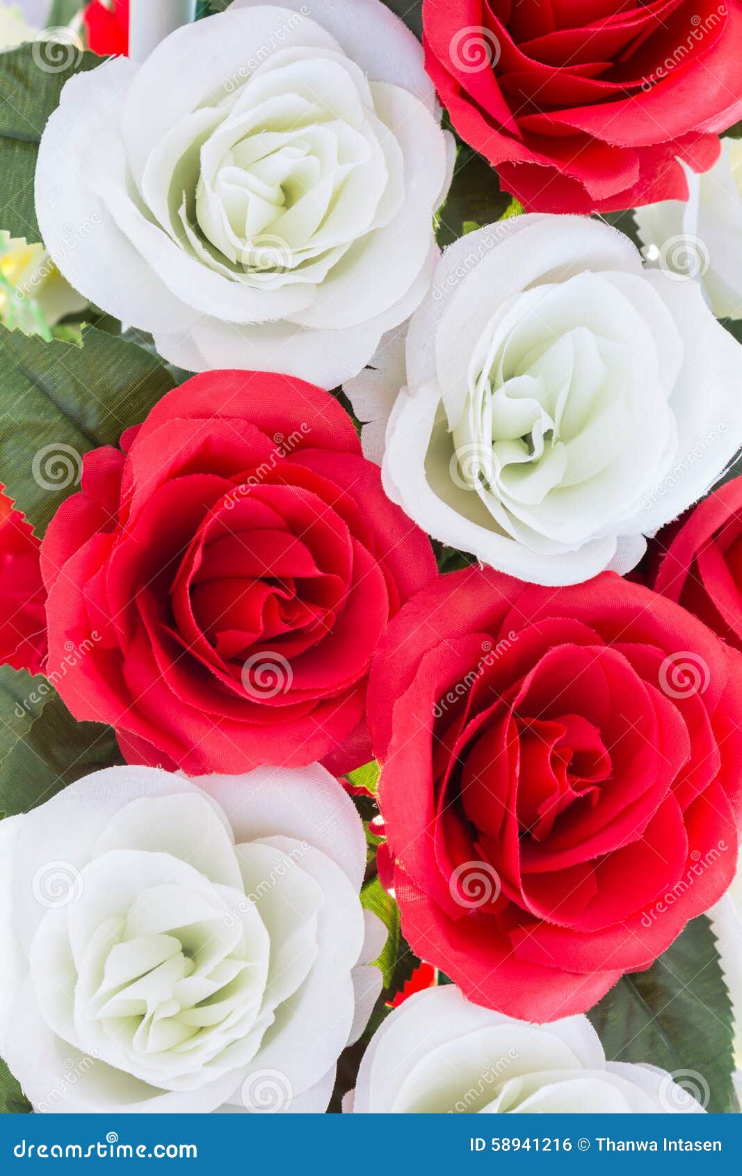 Rose flower plastic stock photo. Image of white, beauty - 58941216