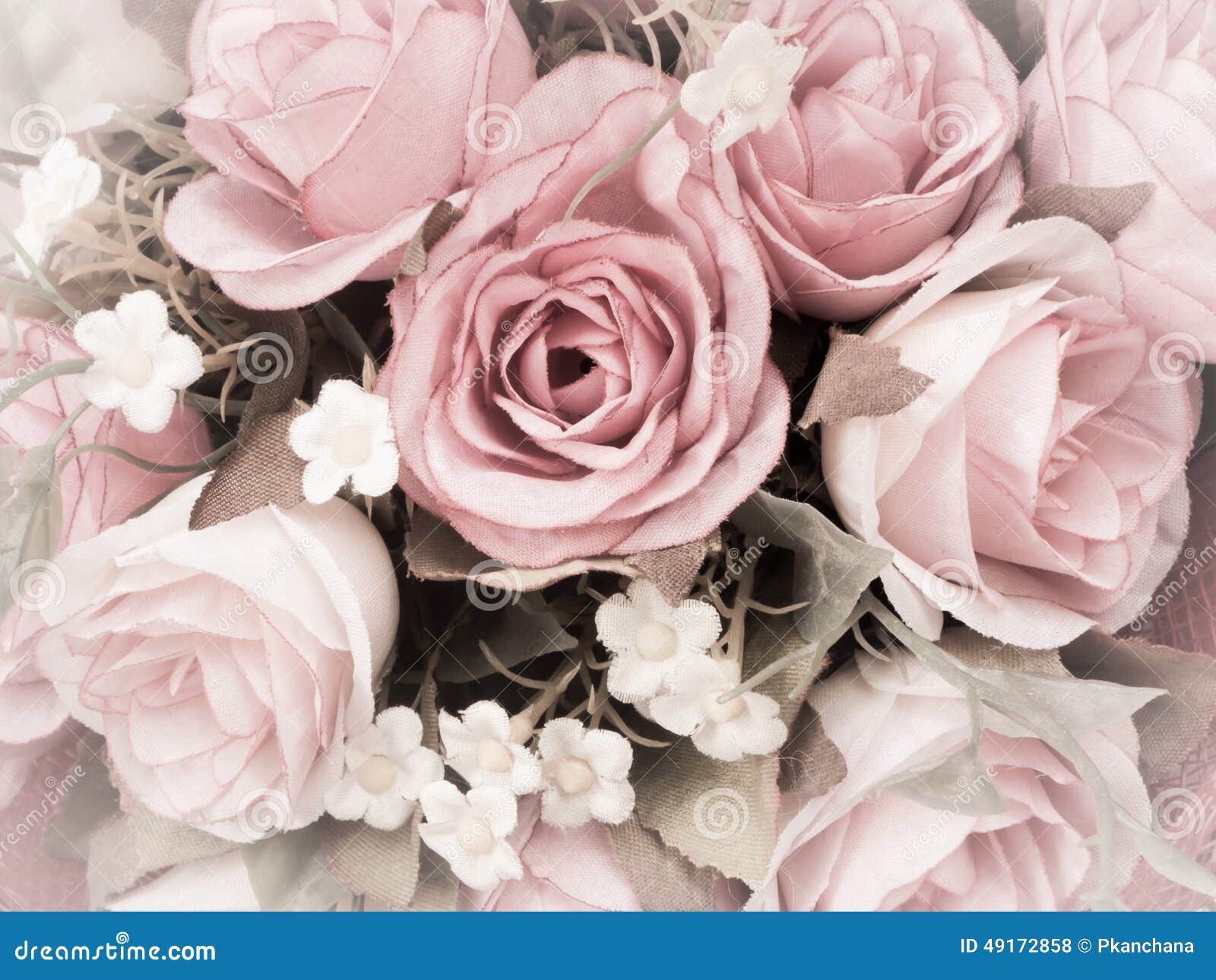 Rose Flower with Retro Filter Effect Stock Photo - Image of rose ...