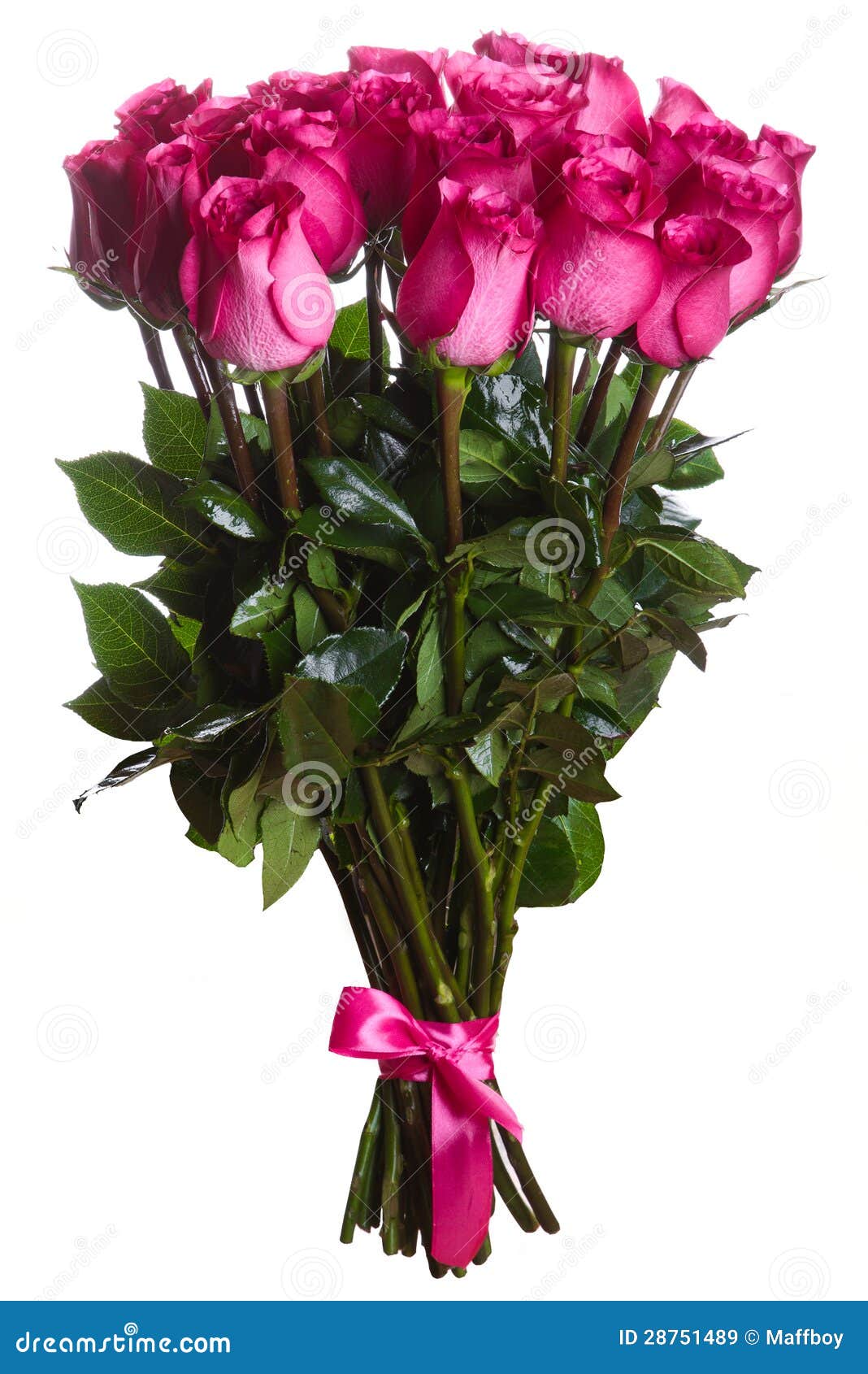 Rose Flowers Bouquet Isolated Stock Image - Image of bloom, present ...