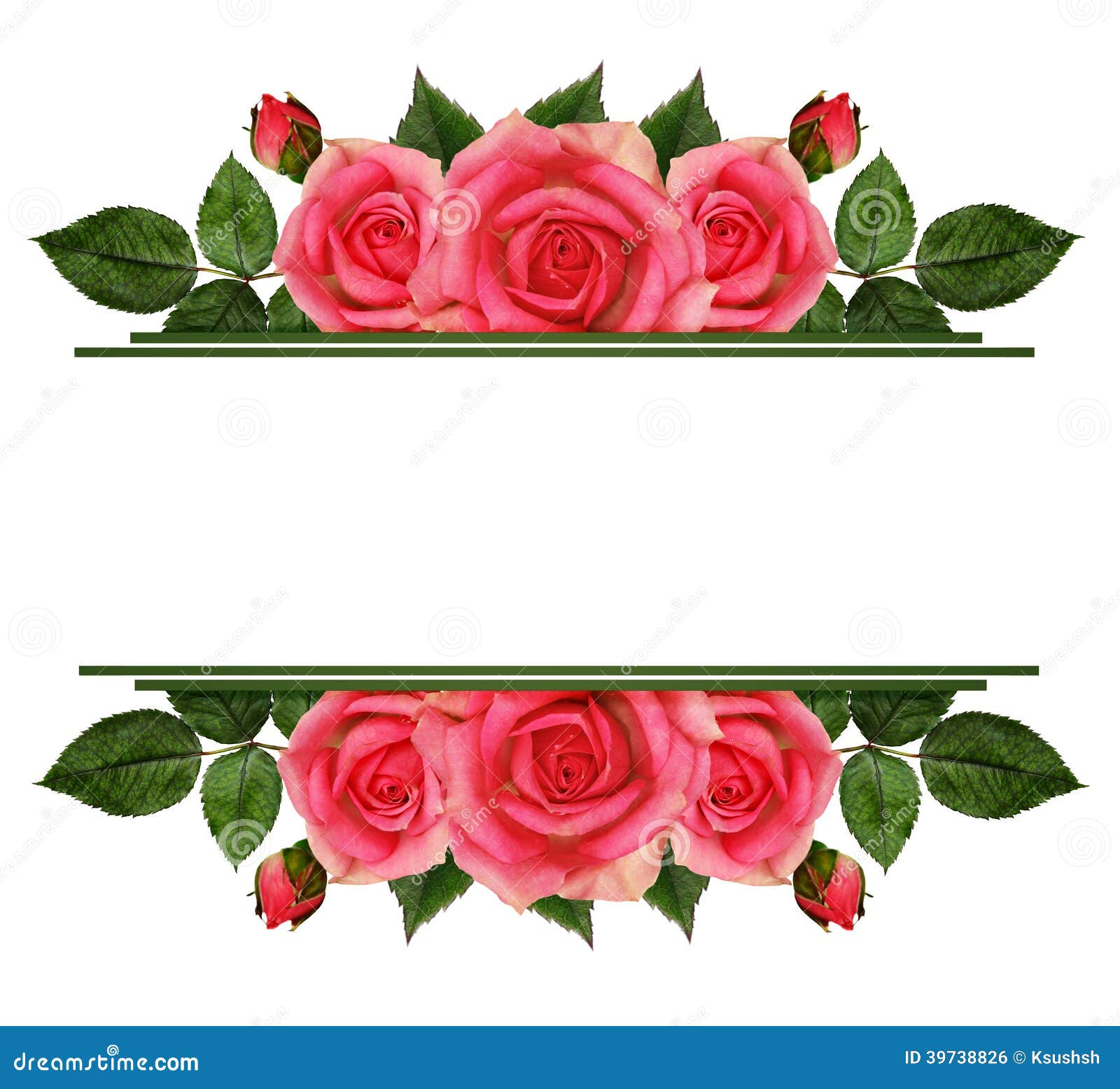 Rose flowers edges stock illustration. Illustration of invitation ...