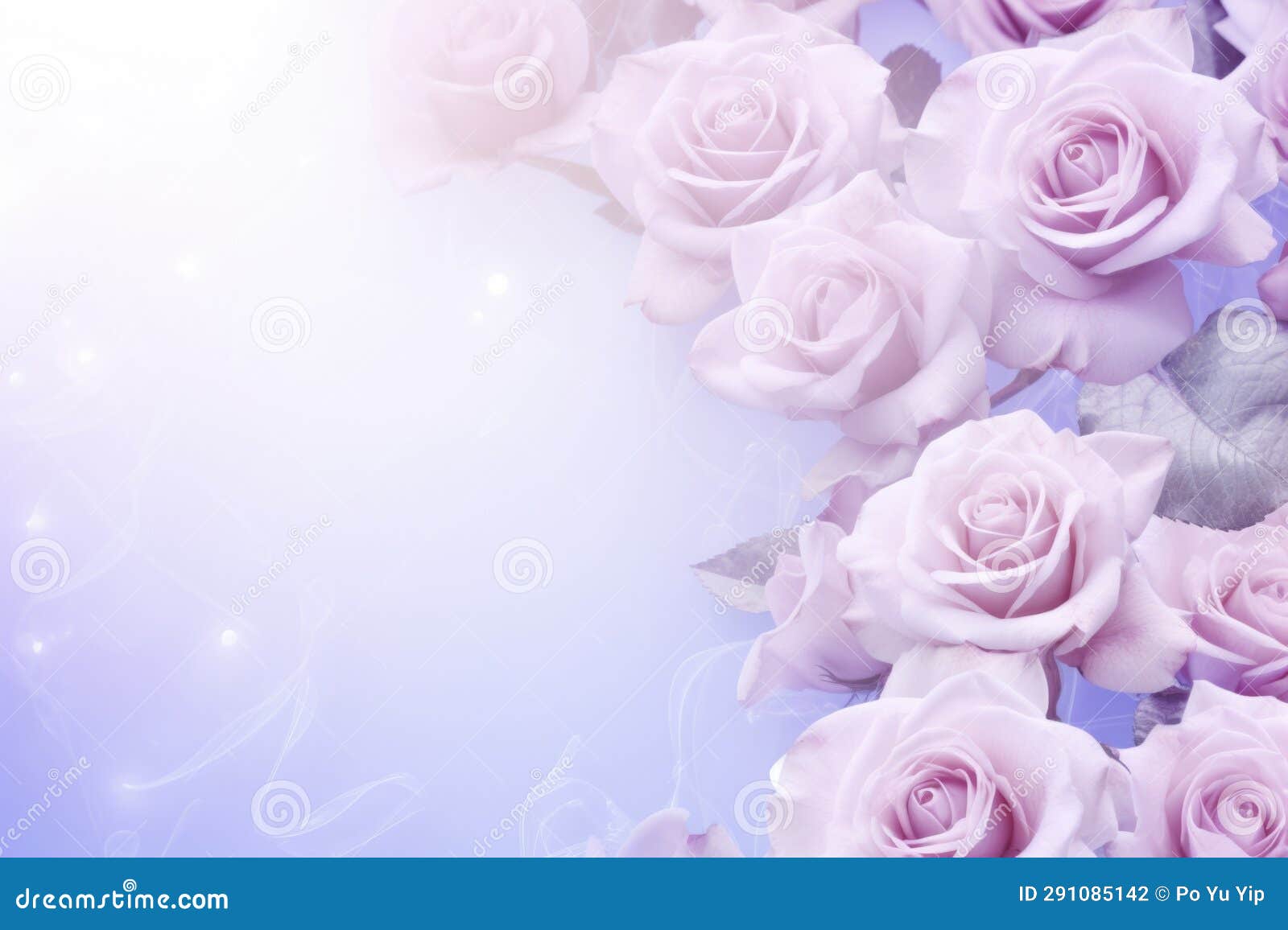 Rose Flowers Frame with Gradient Backlight and Subtle Gold Lines Stock ...