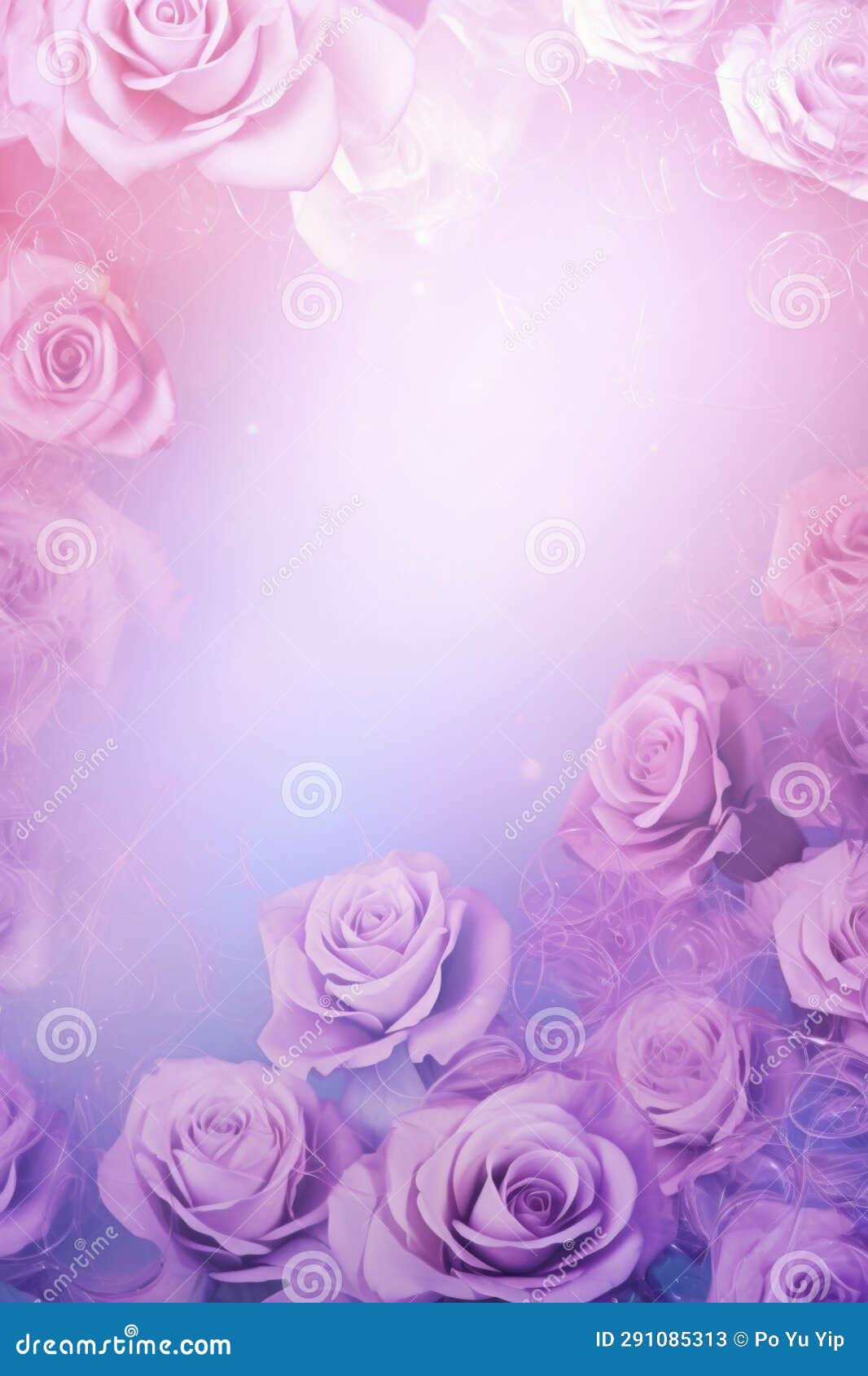 Rose Flowers Frame with Gradient Backlight and Subtle Gold Lines Stock ...