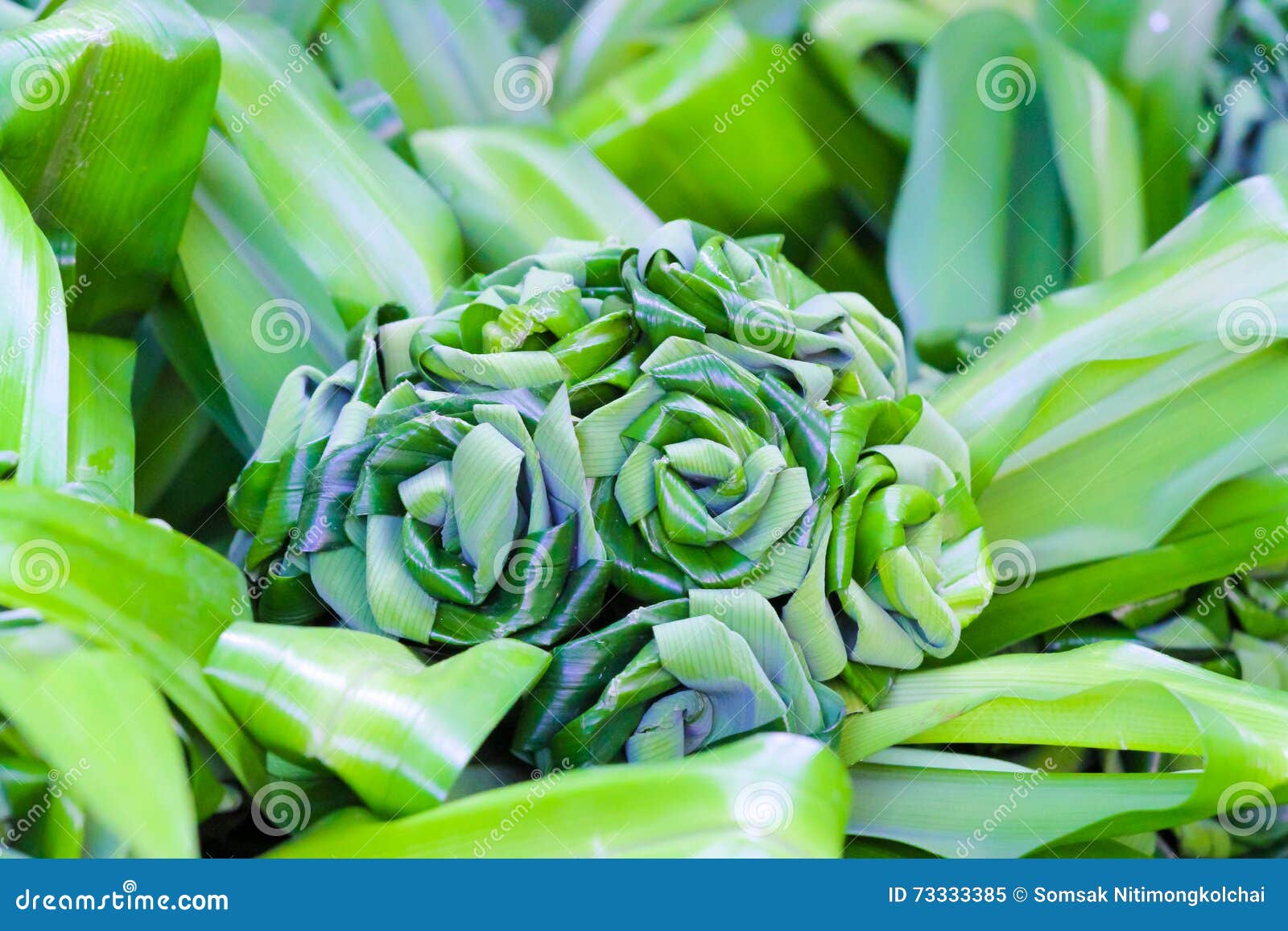 Rose Flowers Made from Pandan Leaves Stock Image - Image of leaves ...