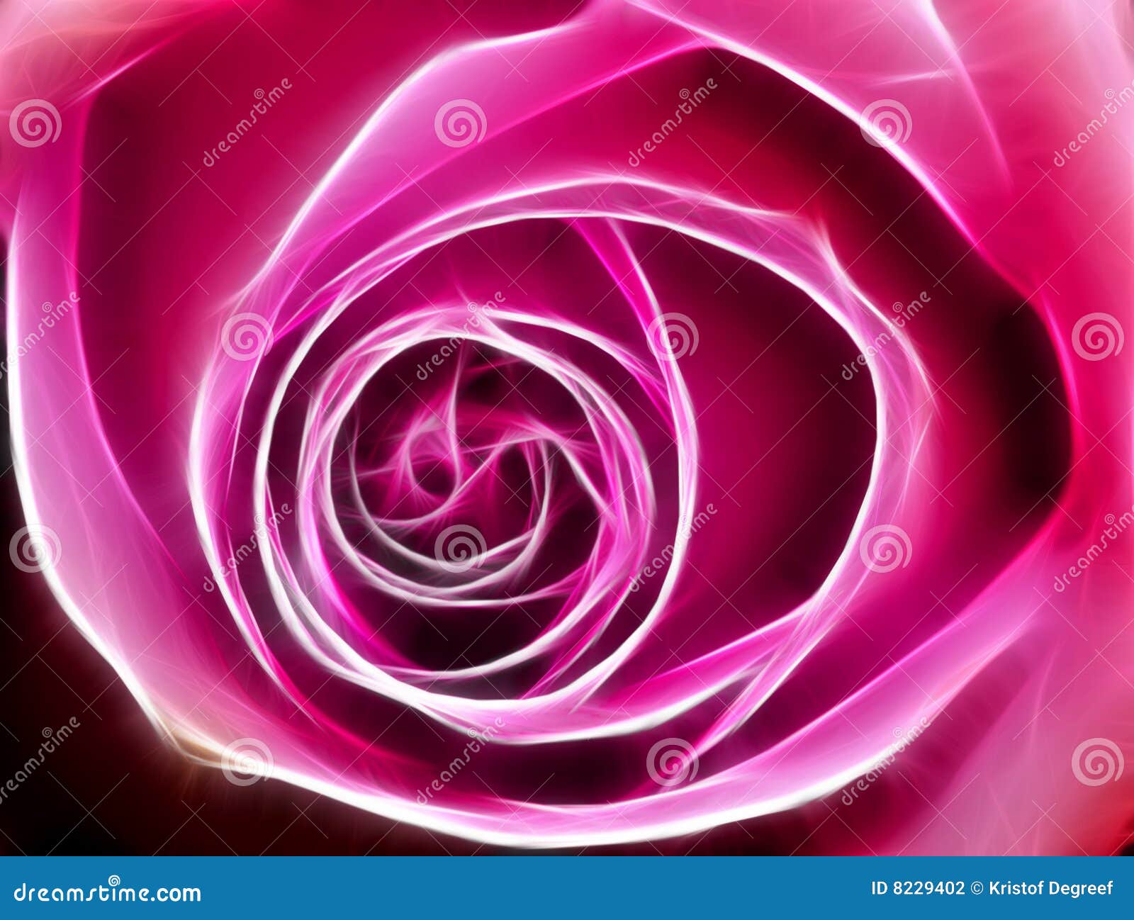 Rose fractal stock illustration. Illustration of flores - 8229402