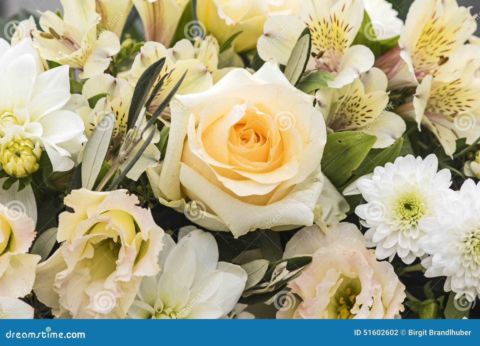 Rose and freesia stock photo. Image of present, gift - 51602602