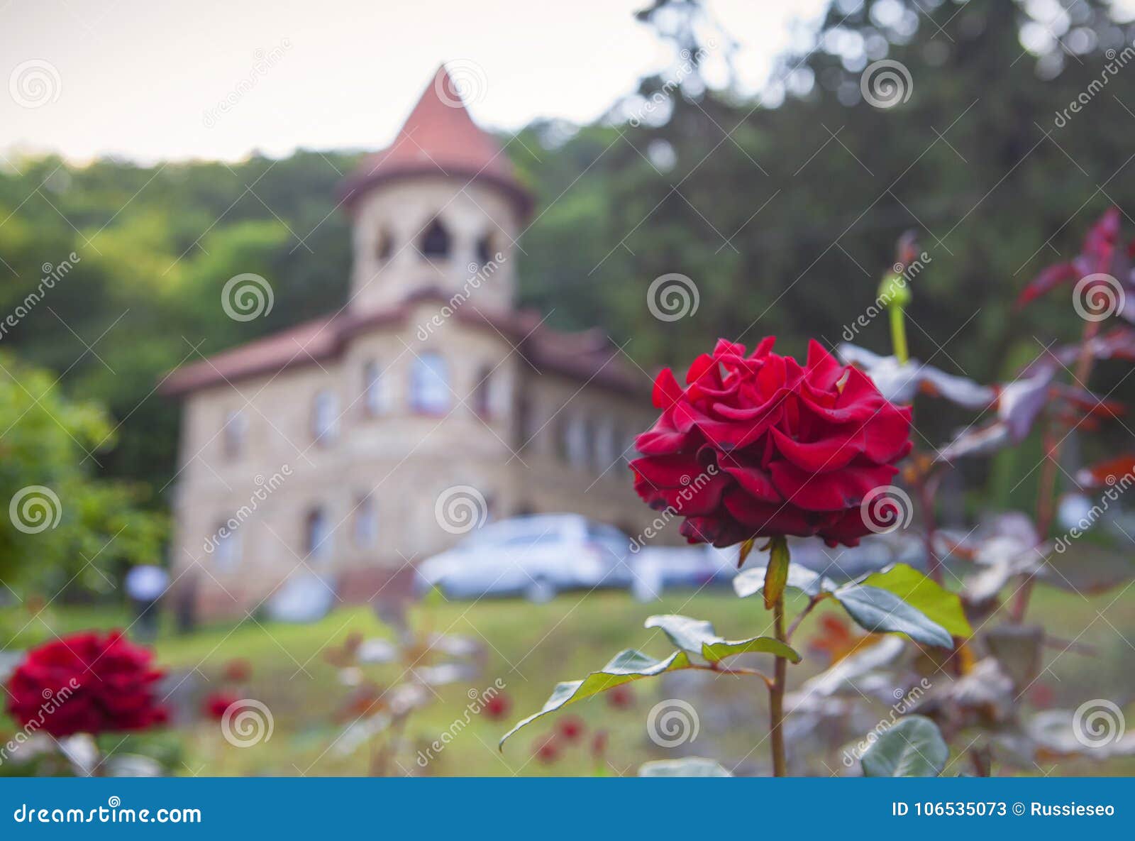 Rose in front of castle stock image. Image of travel - 106535073