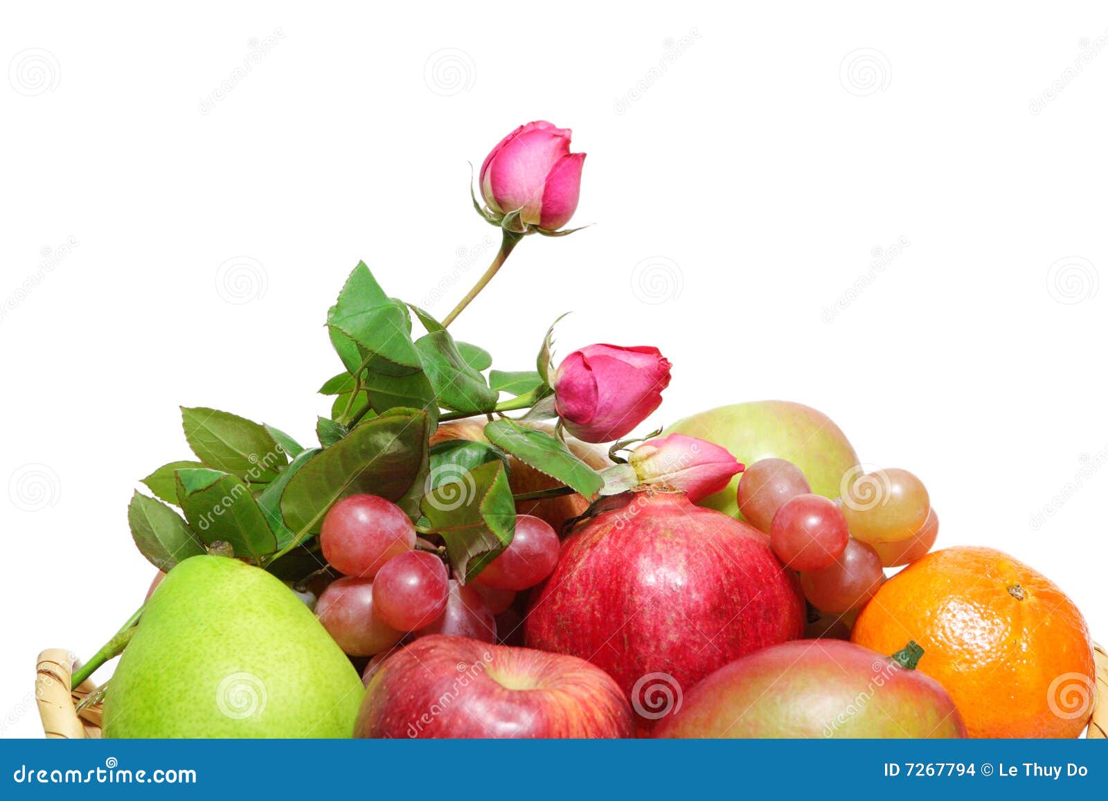 Fruits Of Rose at Helen Ervin blog