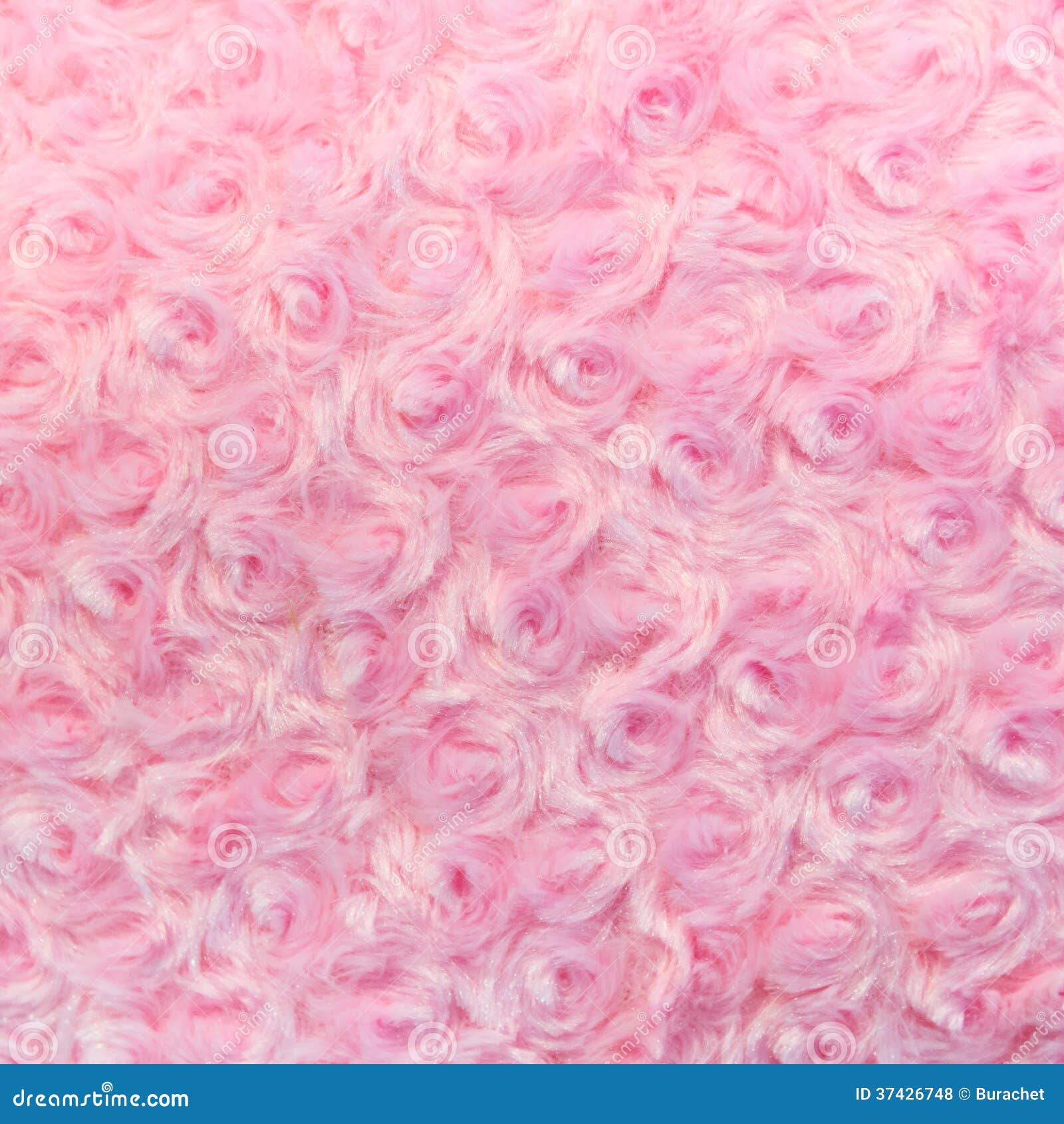 Rose Fur Stock Illustrations – 642 Rose Fur Stock Illustrations ...