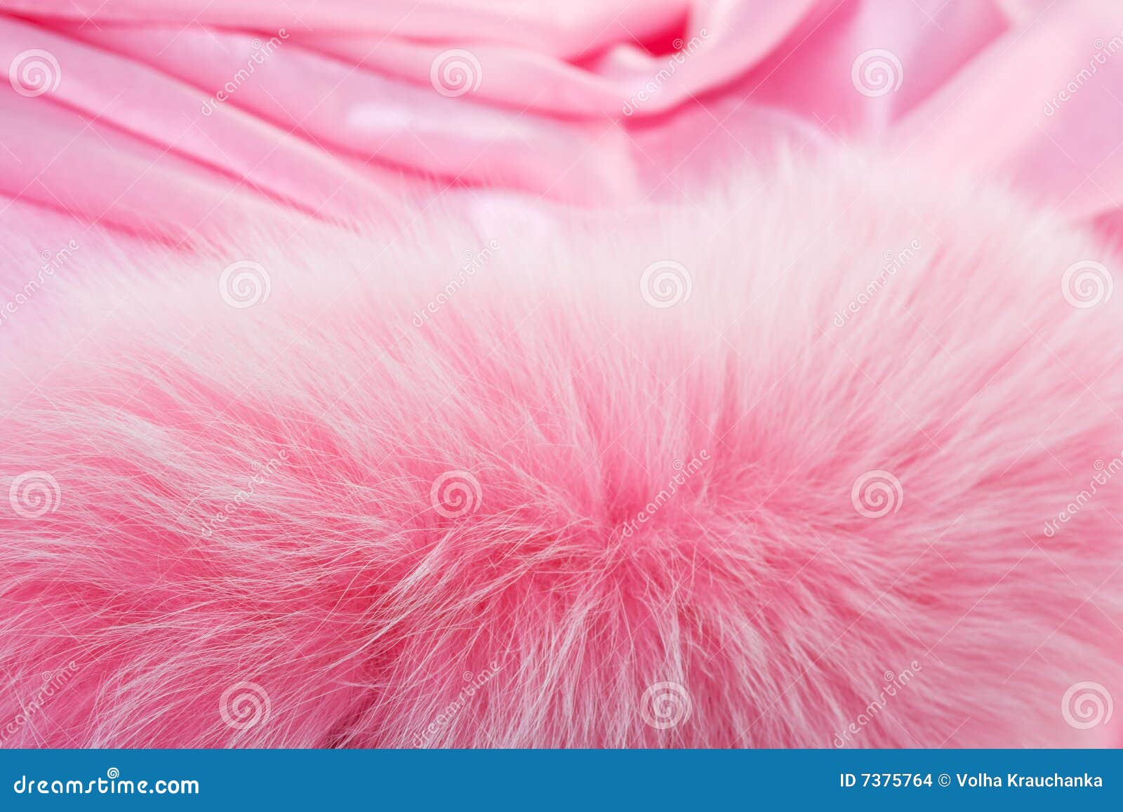 Rose fur on a rose textile stock photo. Image of rose - 7375764