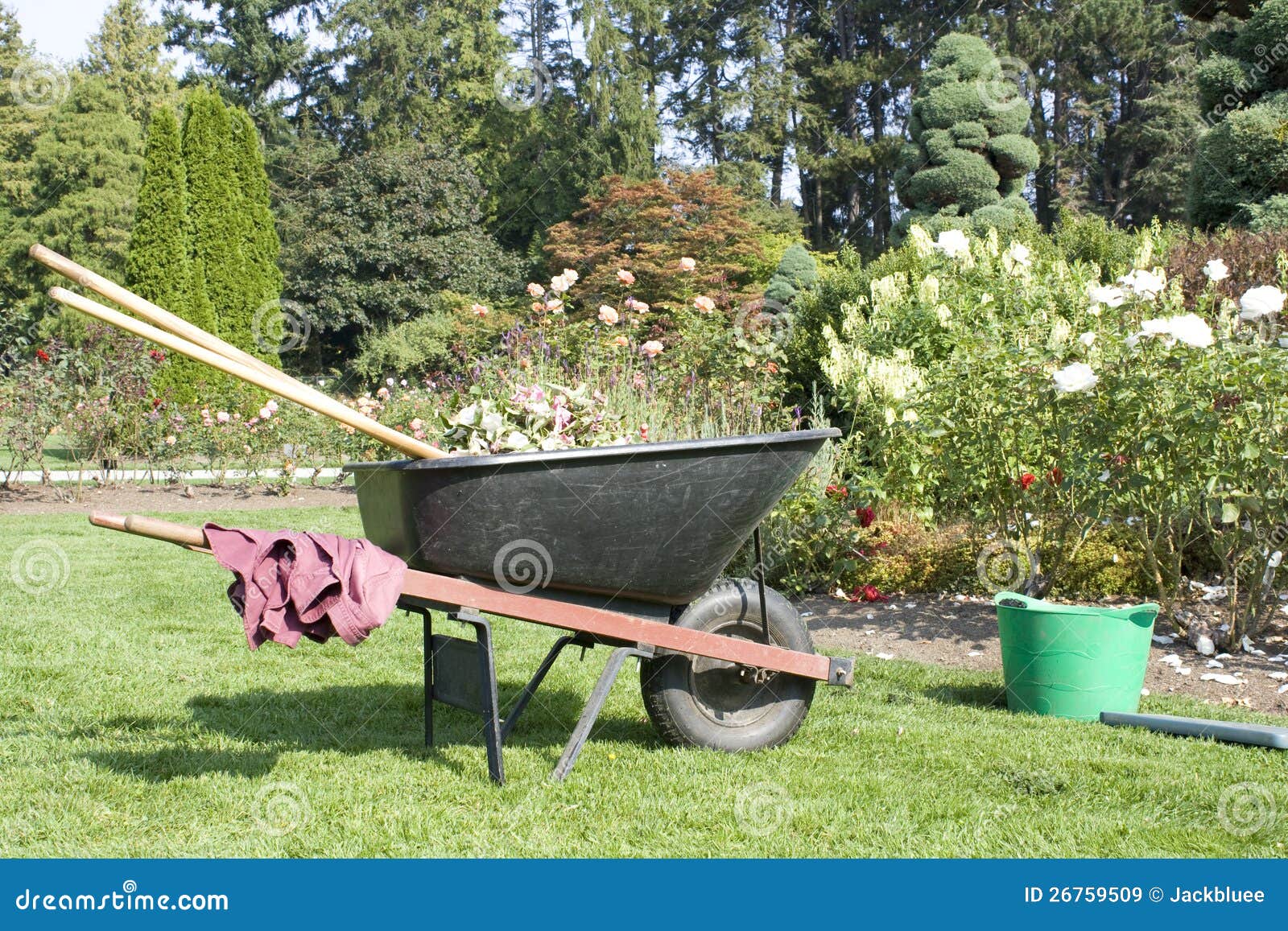 Rose Garden and Gardening Tools Stock Image - Image of garden ...