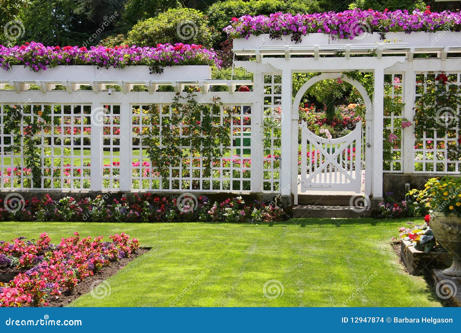 Rose garden gate stock photo. Image of location, entrance - 12947874