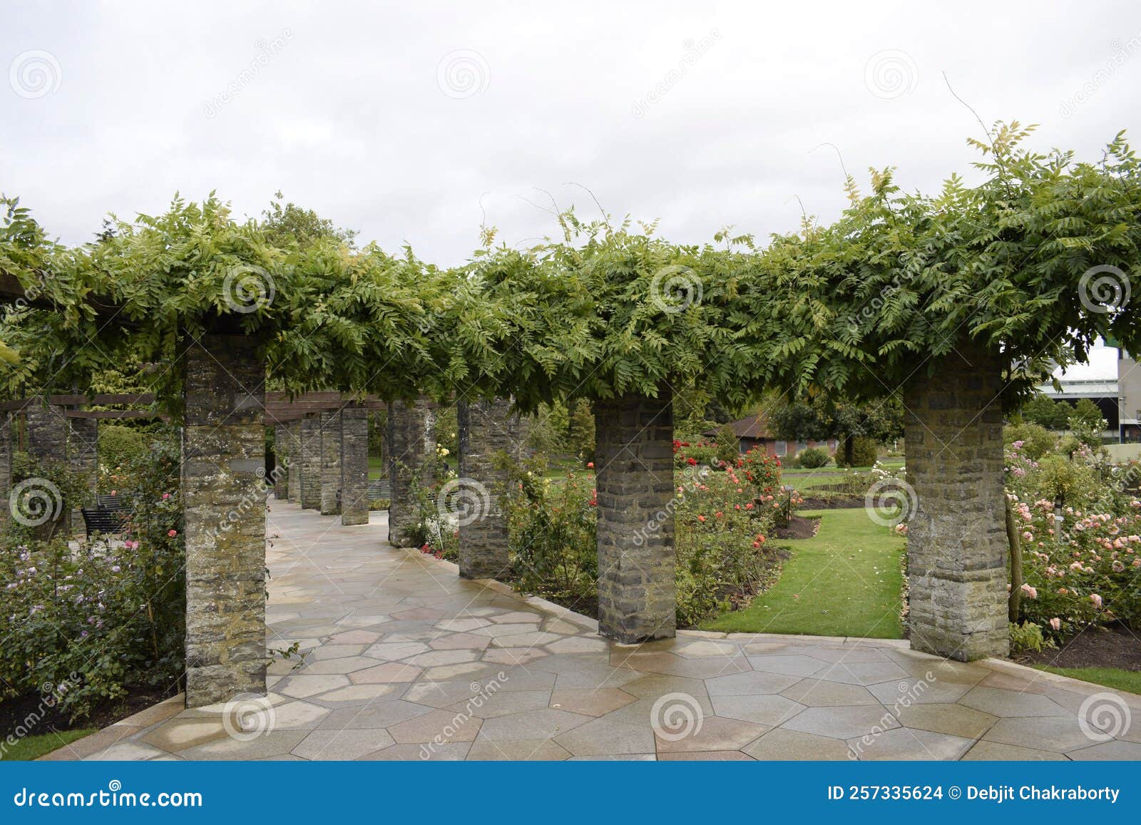 Rose Garden Inside Botanic Garden at Belfast Stock Photo - Image of ...