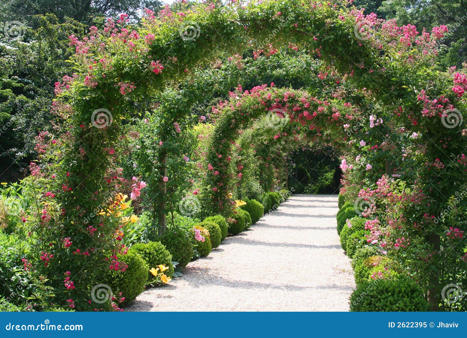 Rose Garden Landscape stock image. Image of petals, garden - 2622395