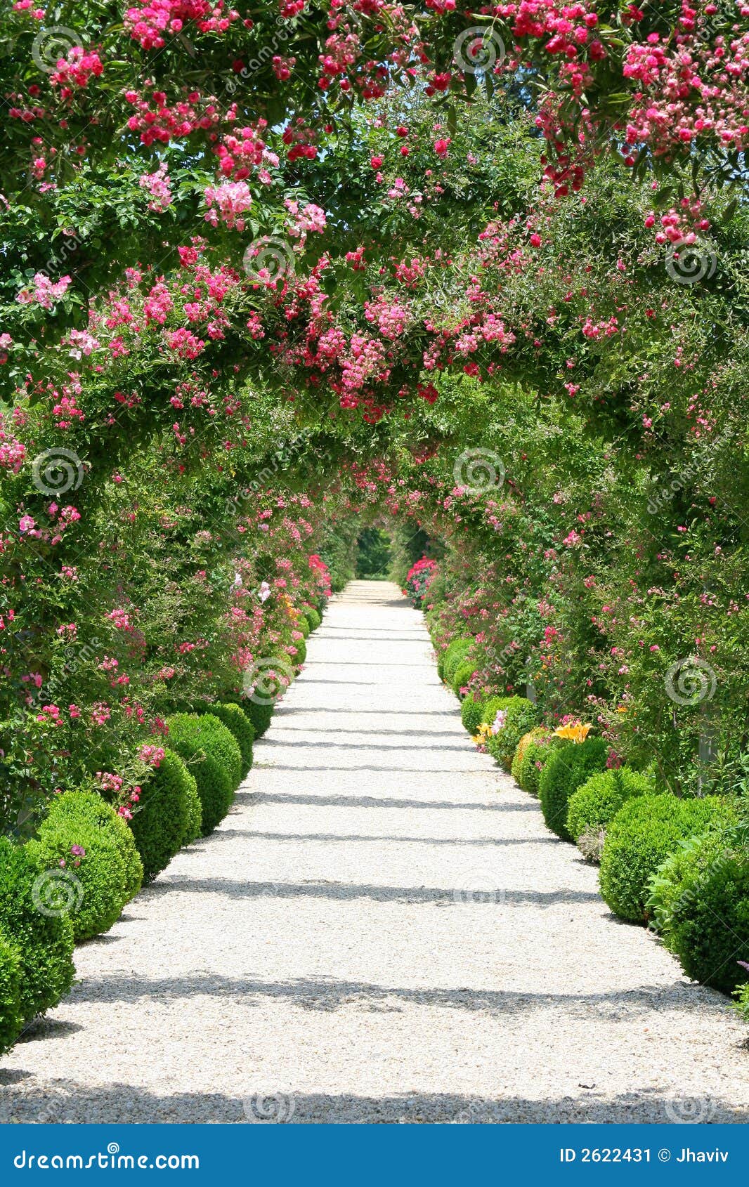 Rose Garden Landscape stock image. Image of life, pretty - 2622431