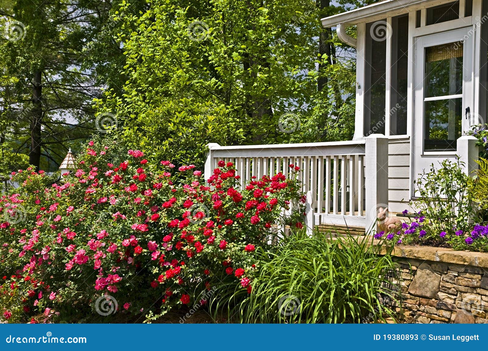 Rose Garden at the Porch of a House Stock Image - Image of beautiful ...
